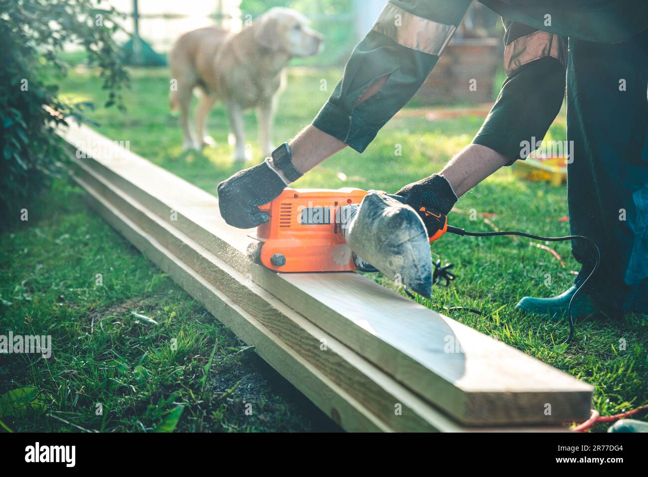 The man grinds the boards with a belt grinder, the electric tool for ...