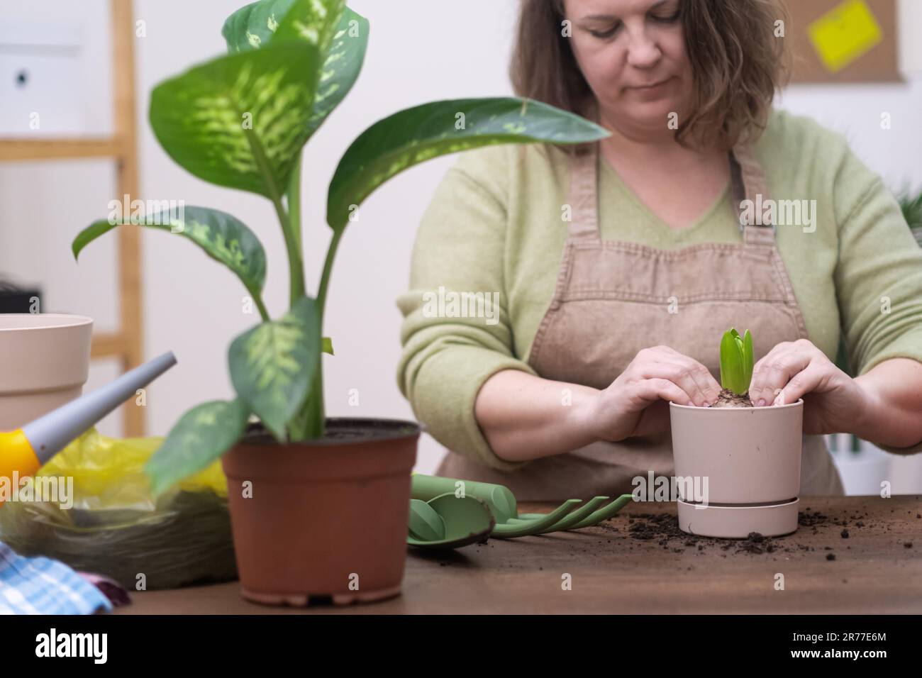 passion for gardening small business opening a plant store, love of ...