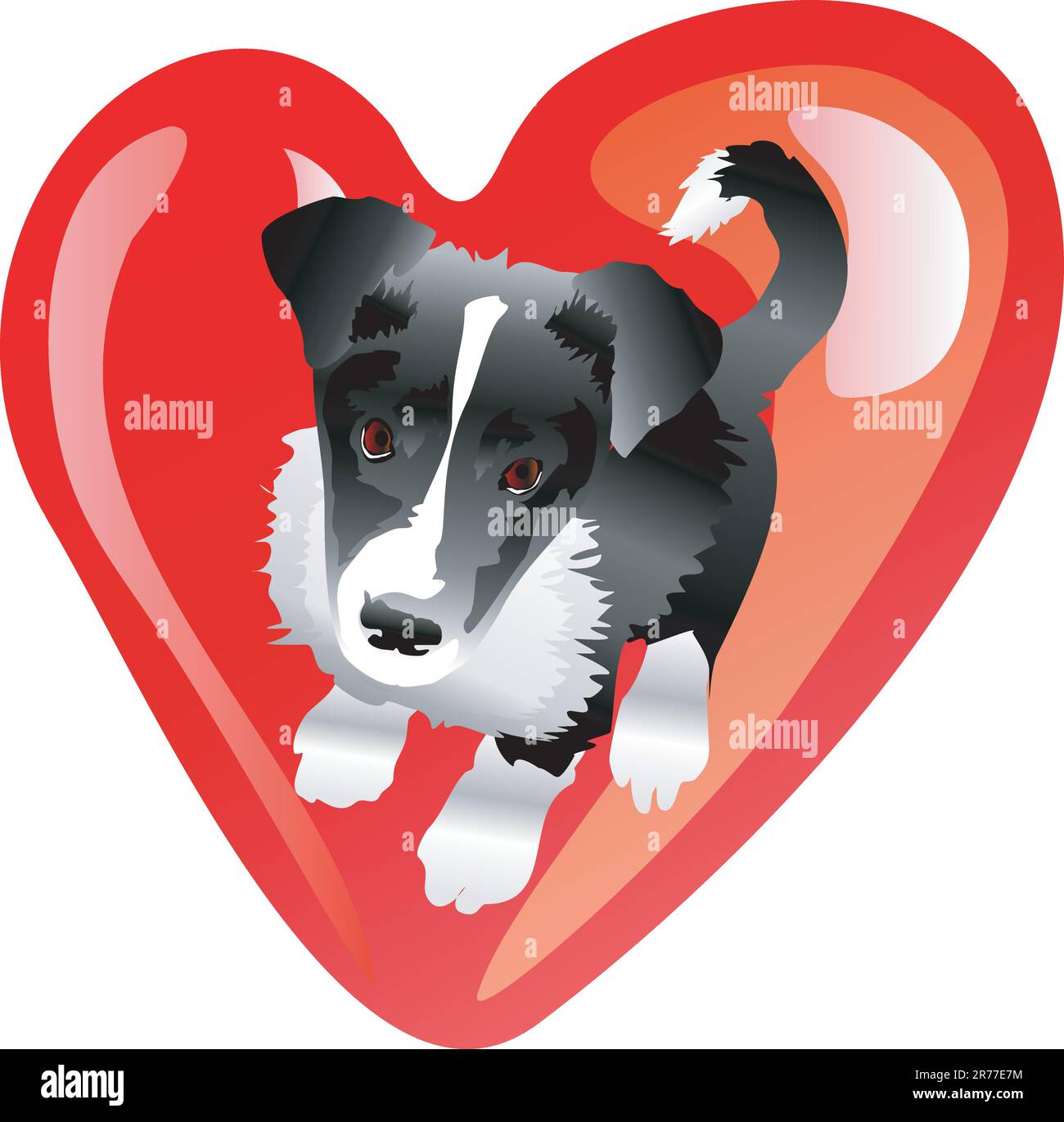 Color image small dog Cut Out Stock Images & Pictures - Alamy