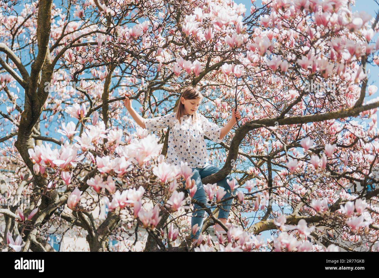 Happy kid girl playing on magnolia tree in spring Stock Photo - Alamy