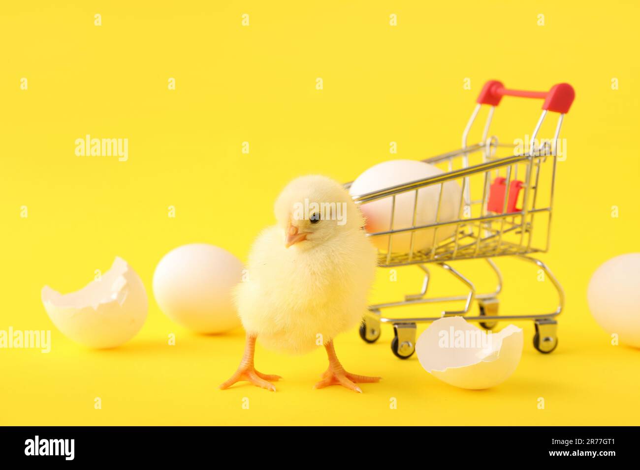 Shopping cart with cute little chick and eggs on yellow background ...