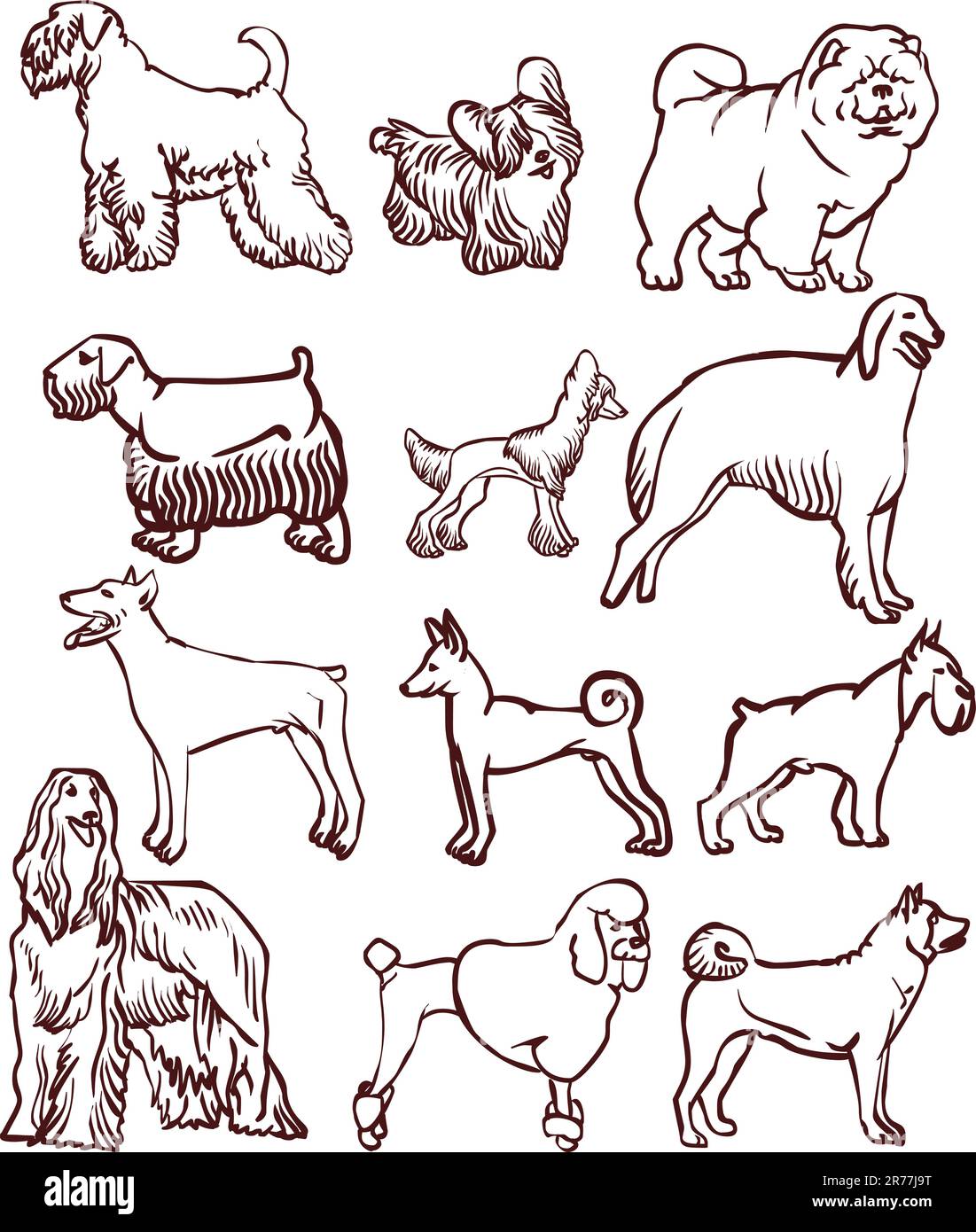 Dog environment Stock Vector Images - Alamy