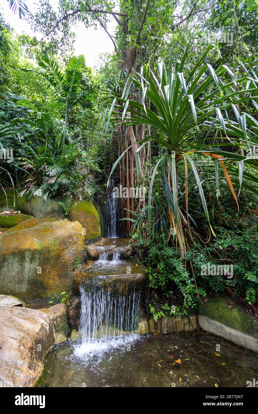 Botanic garden in Sentosa island, Singapore. Waterfall and tropic ...