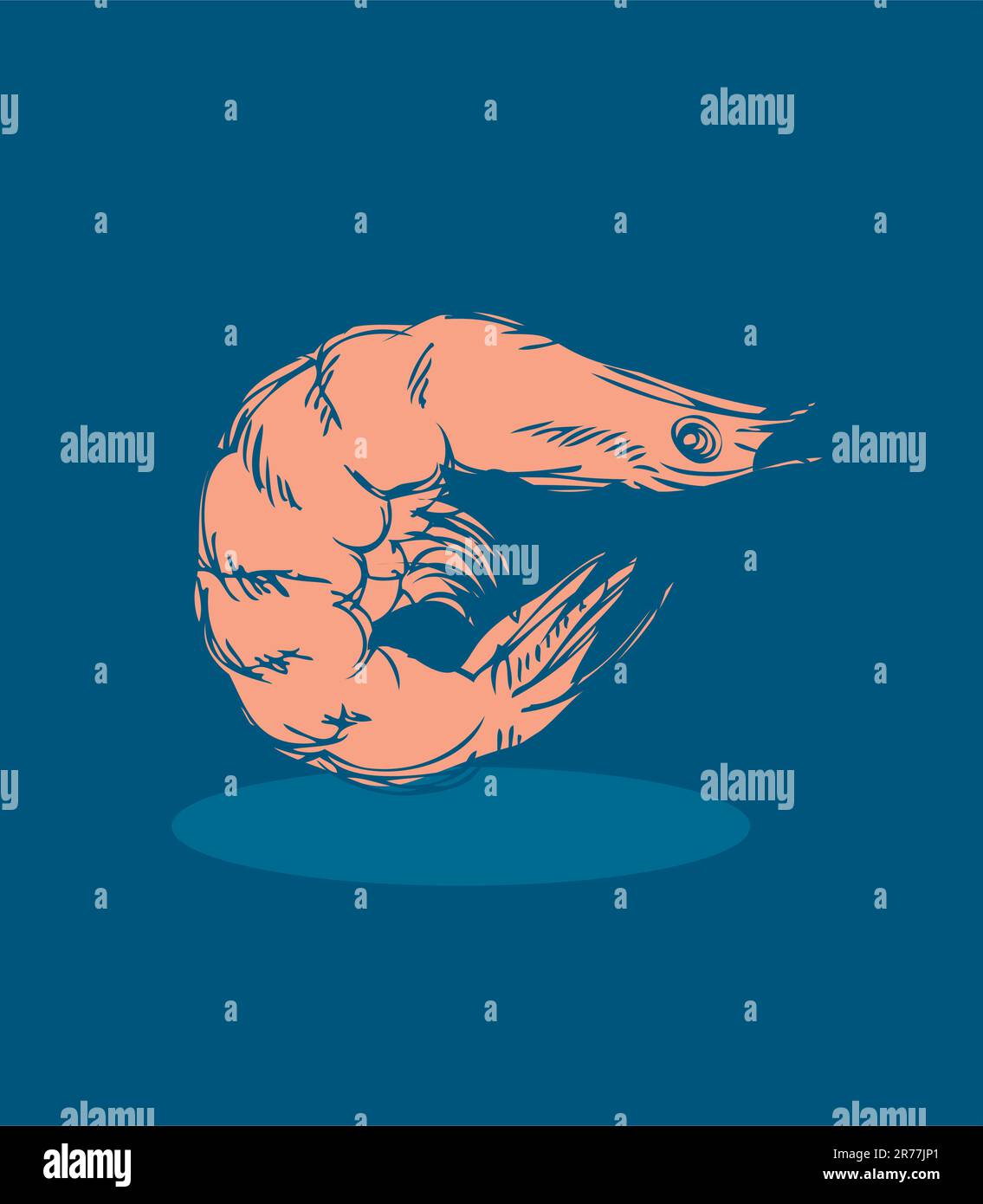 Shrimp vector illustration Stock Vector Image & Art - Alamy