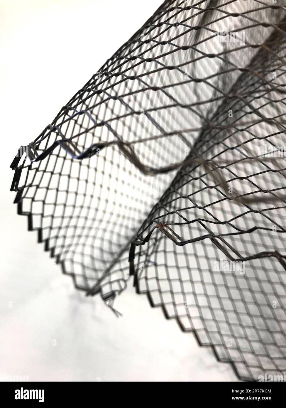 Photography border hi-res stock photography and images - Alamy