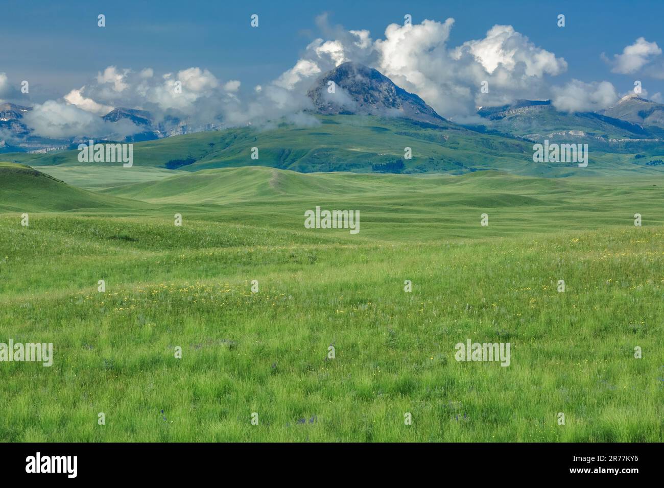 fog lifting over haystack butte above the prairie near augusta, montana ...