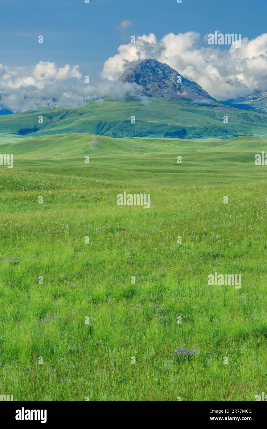 fog lifting over haystack butte above the prairie near augusta, montana ...