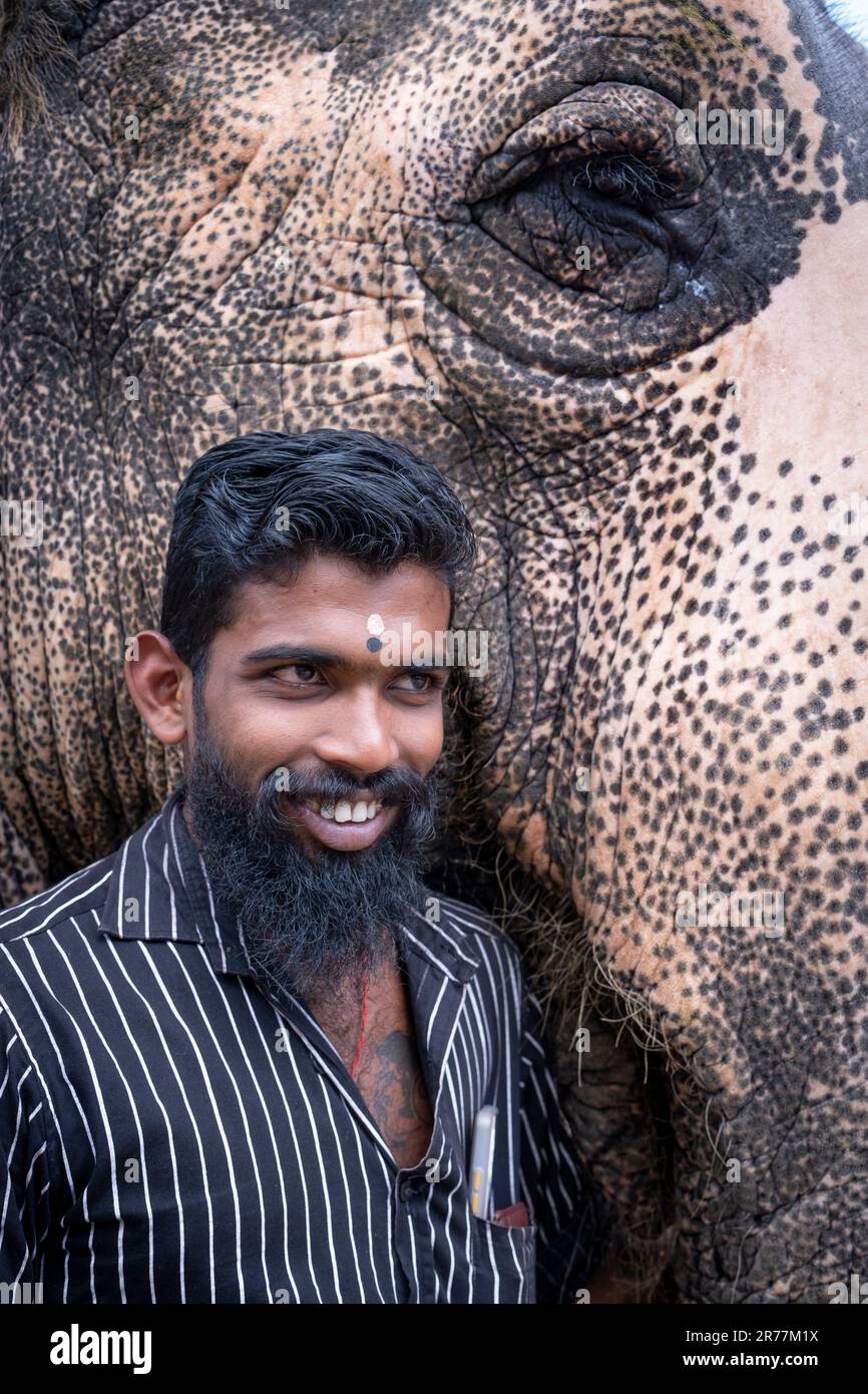 A mahout cares for his Asian elephant at spice plantation, Kumily ...