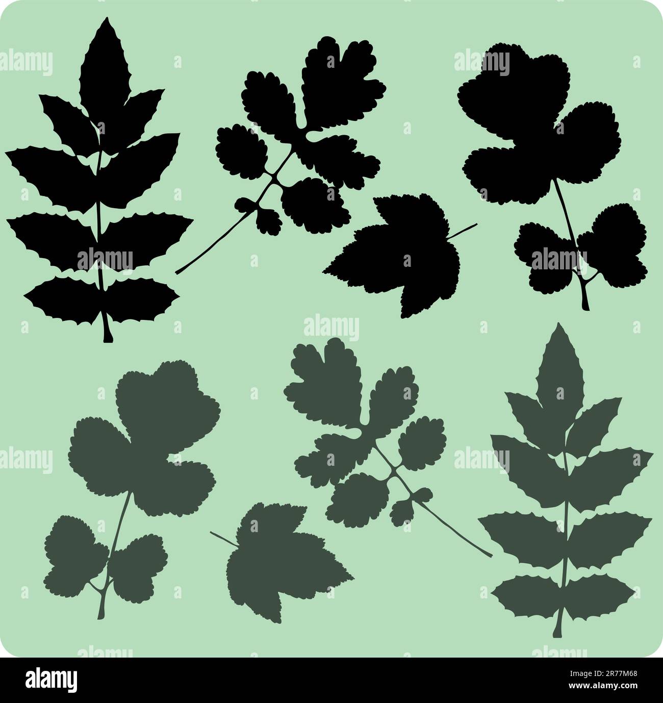 Unhealthy leaves Stock Vector Images - Alamy