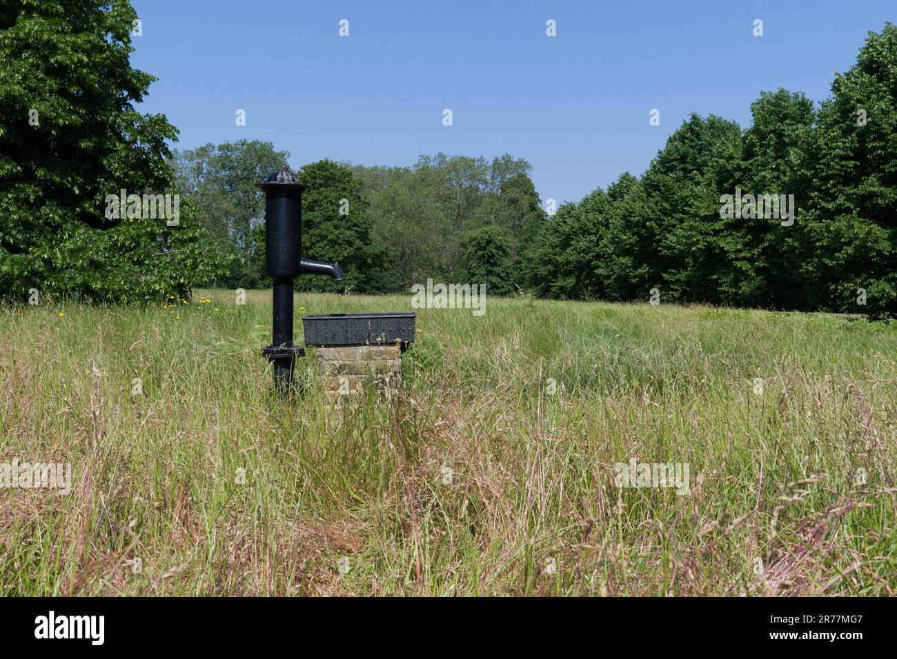 old water pump and trough in Hyde Park - London Stock Photo - Alamy