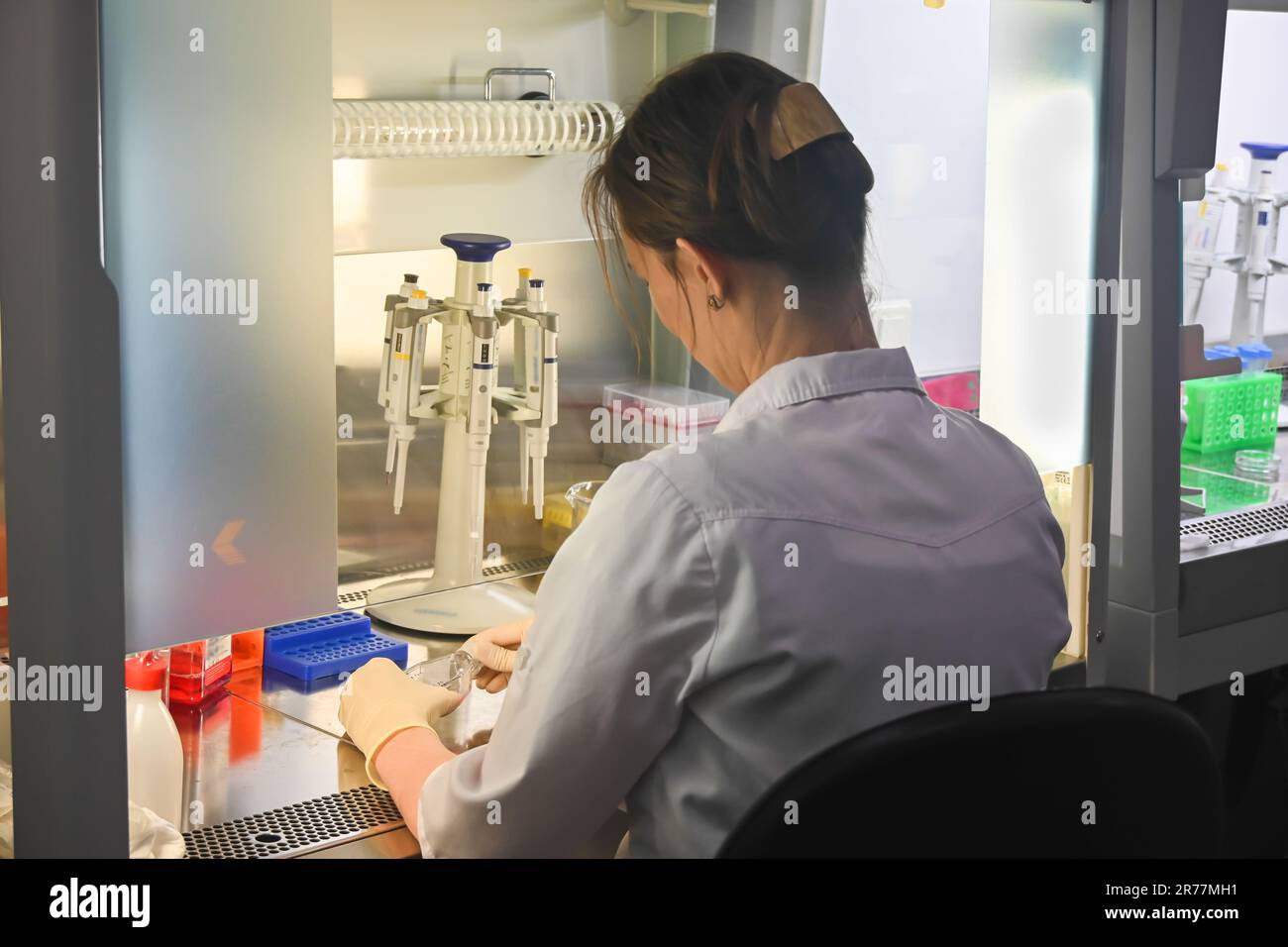 Cell culture researcher in the laboratory. Work in a cell box Stock ...