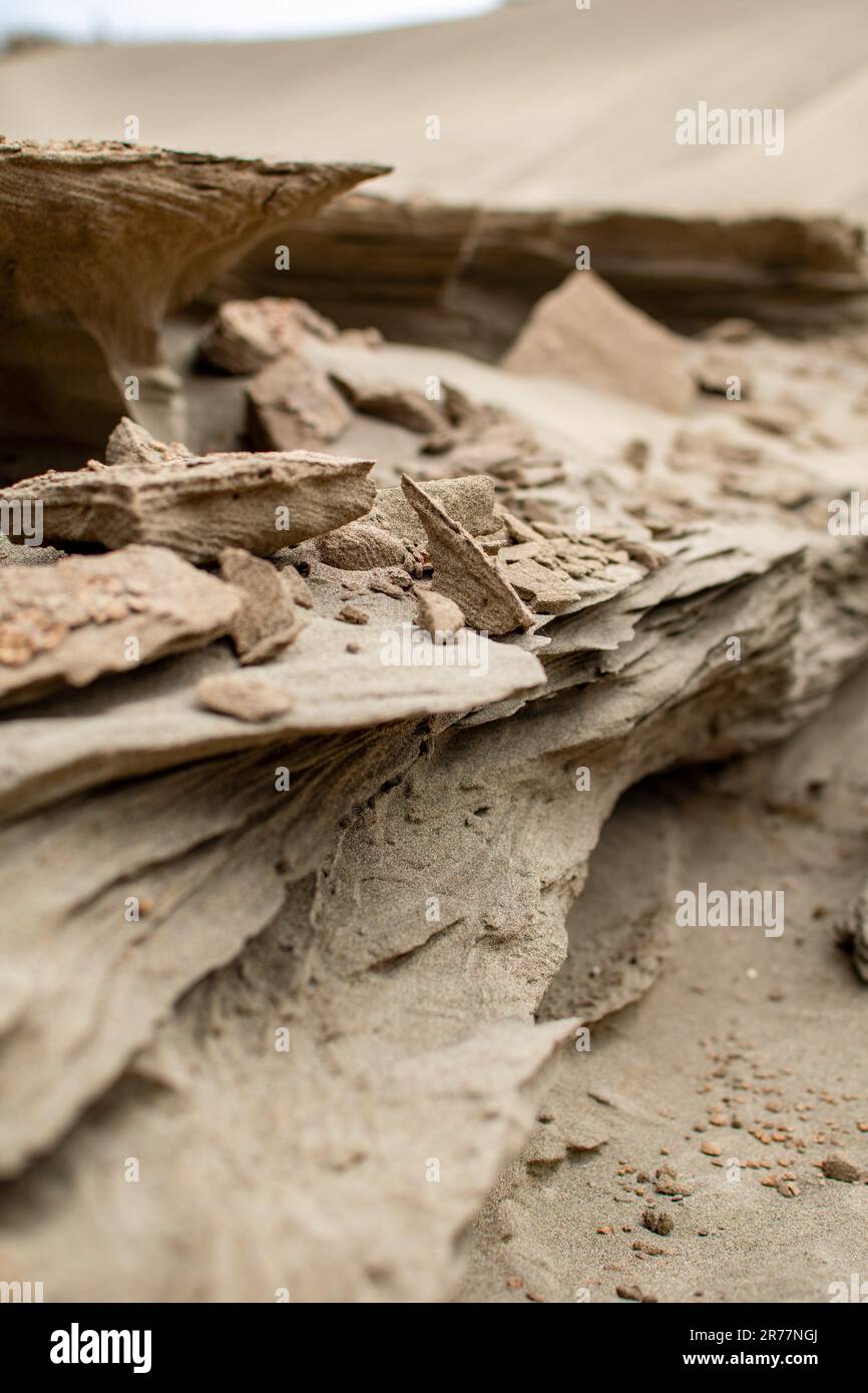 Dune landscape with bokeh hi-res stock photography and images - Alamy