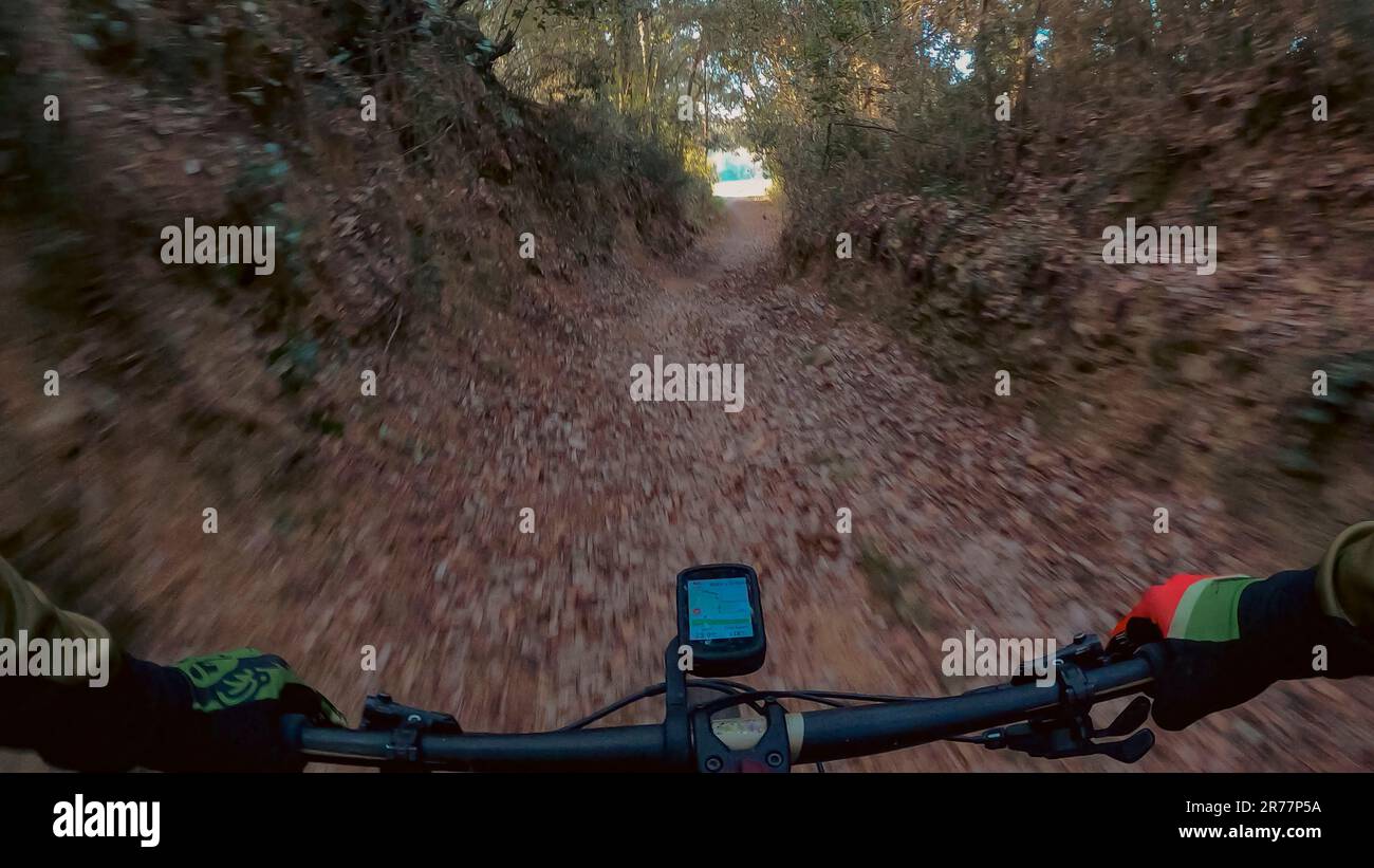 Riding fast a mountain bike downhill single track rider point of view ...