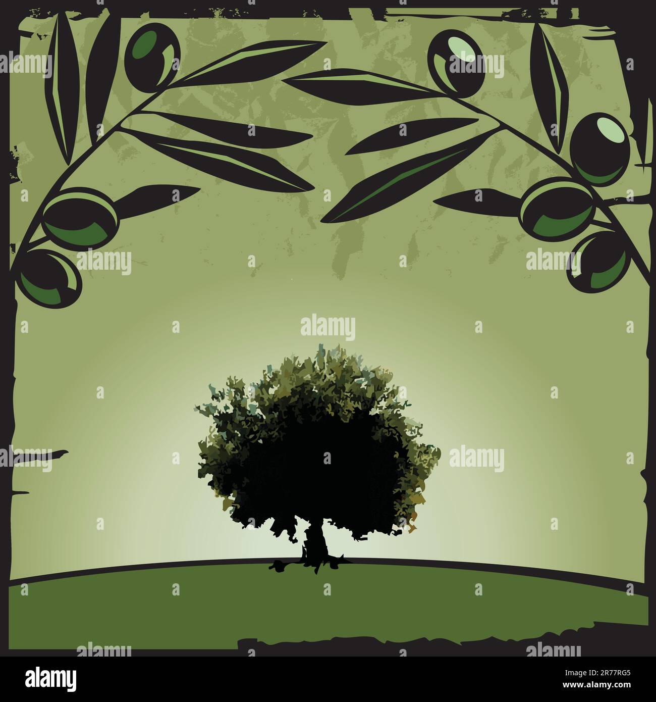 Vector illustration - olive Stock Vector Image & Art - Alamy