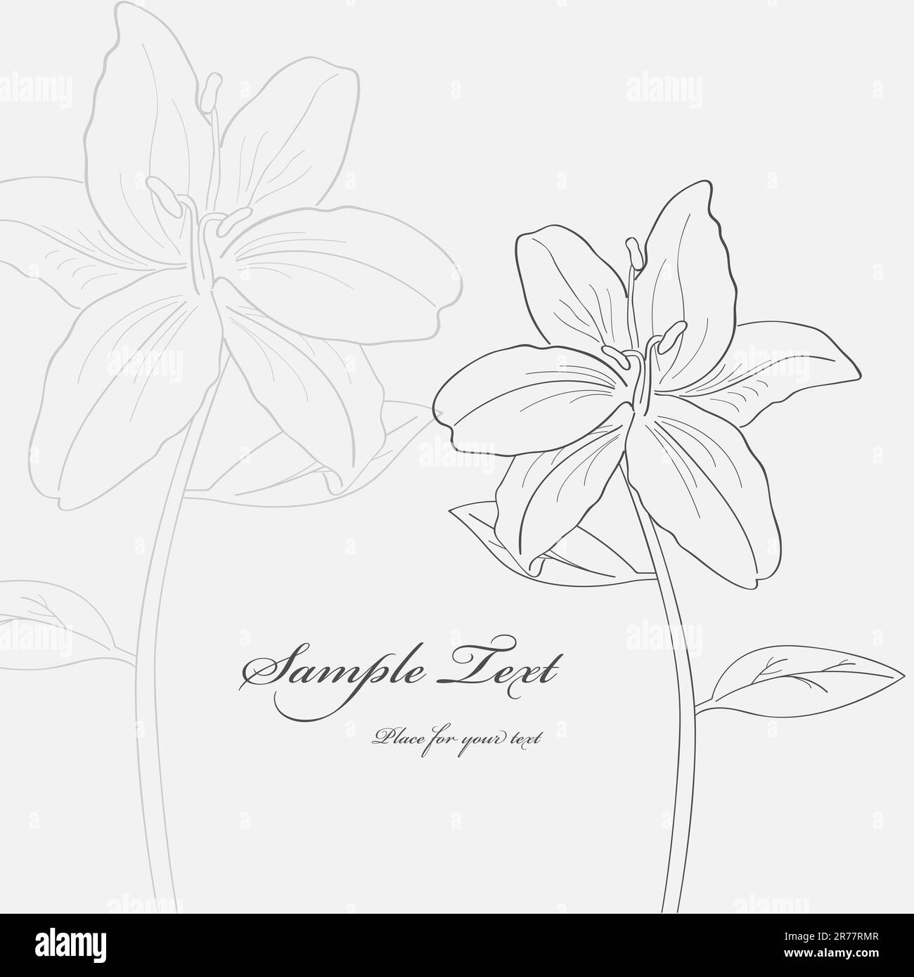 Color pictures Black and White Stock Photos & Images - Alamy