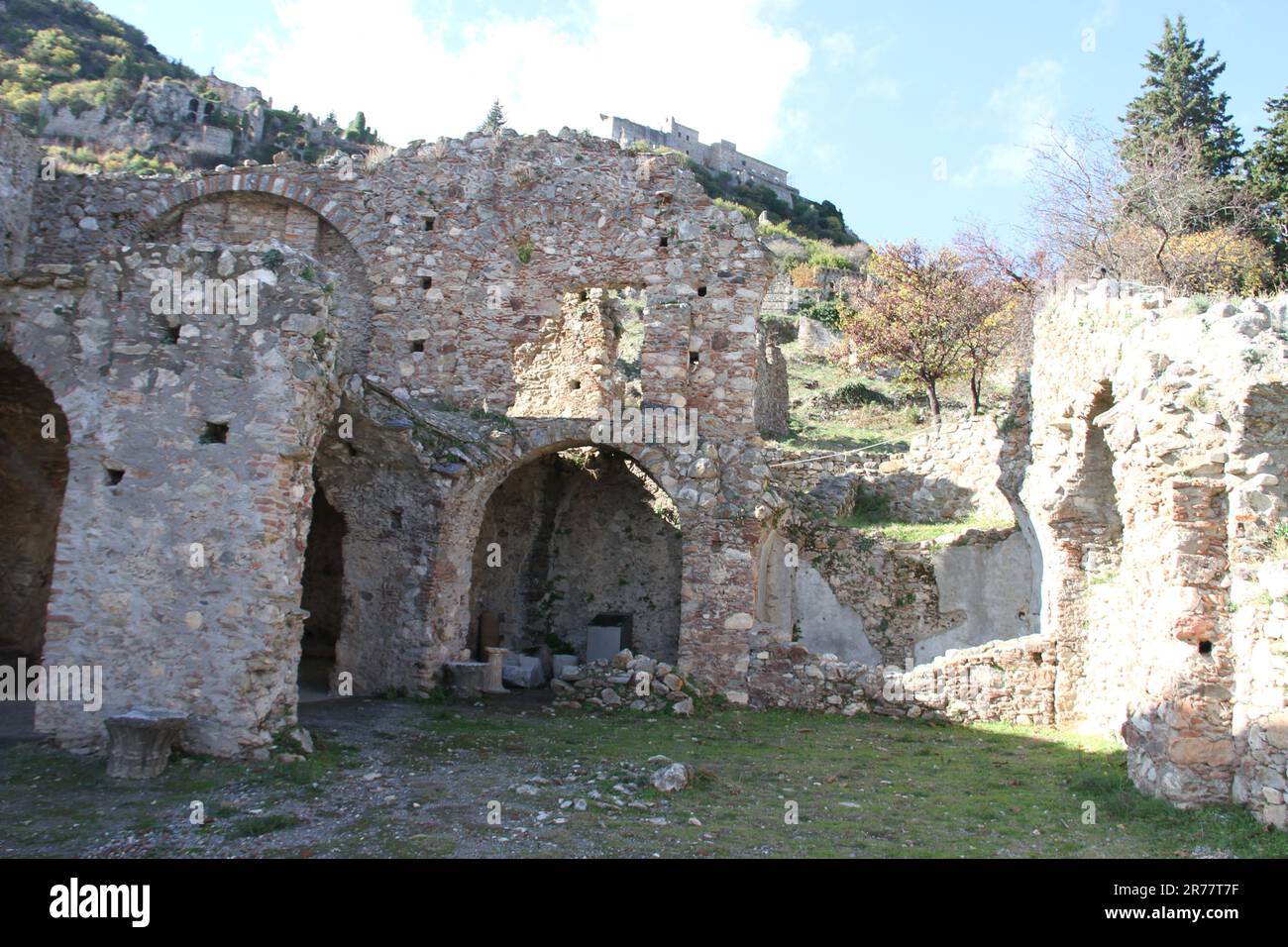 Mystra peribleptos hi-res stock photography and images - Alamy