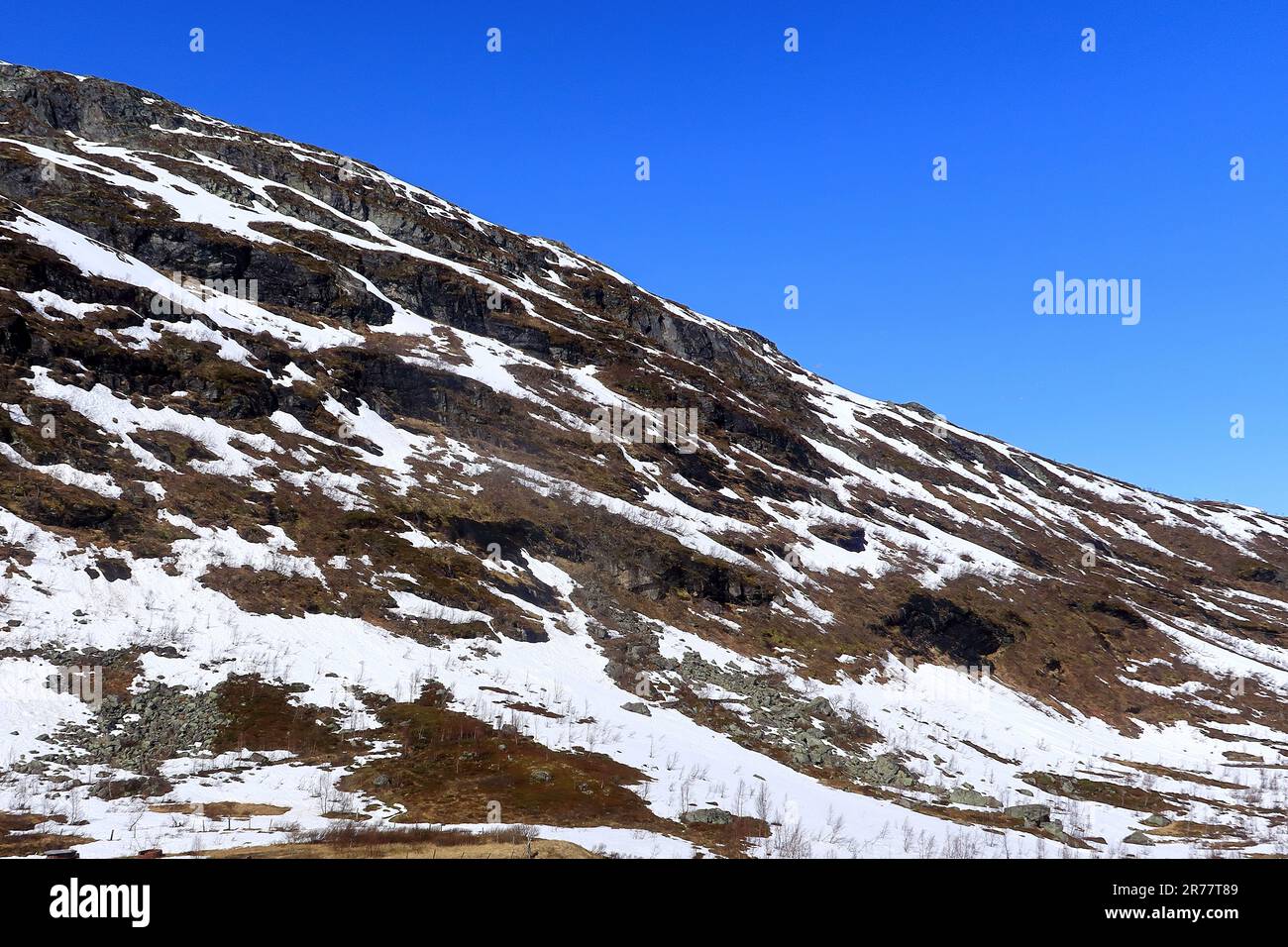 Norway myrdal station hi-res stock photography and images - Alamy
