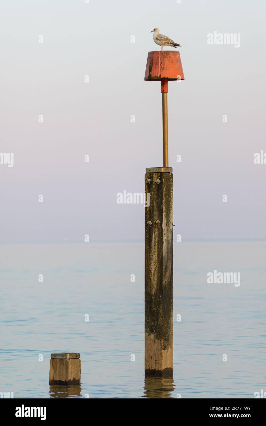 Groyne marker hi-res stock photography and images - Alamy