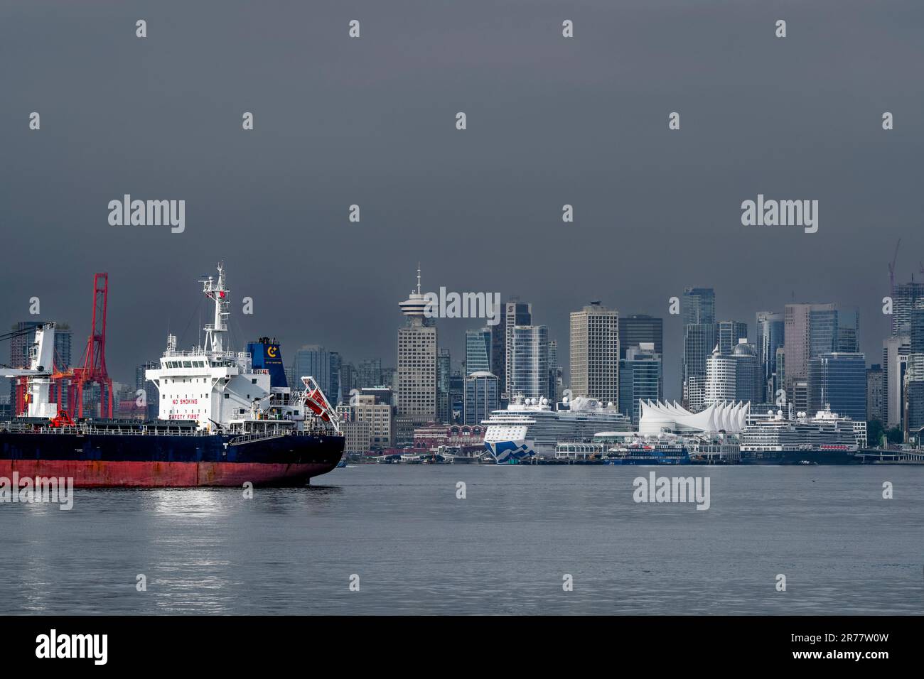 Cetus beluga hi-res stock photography and images - Alamy