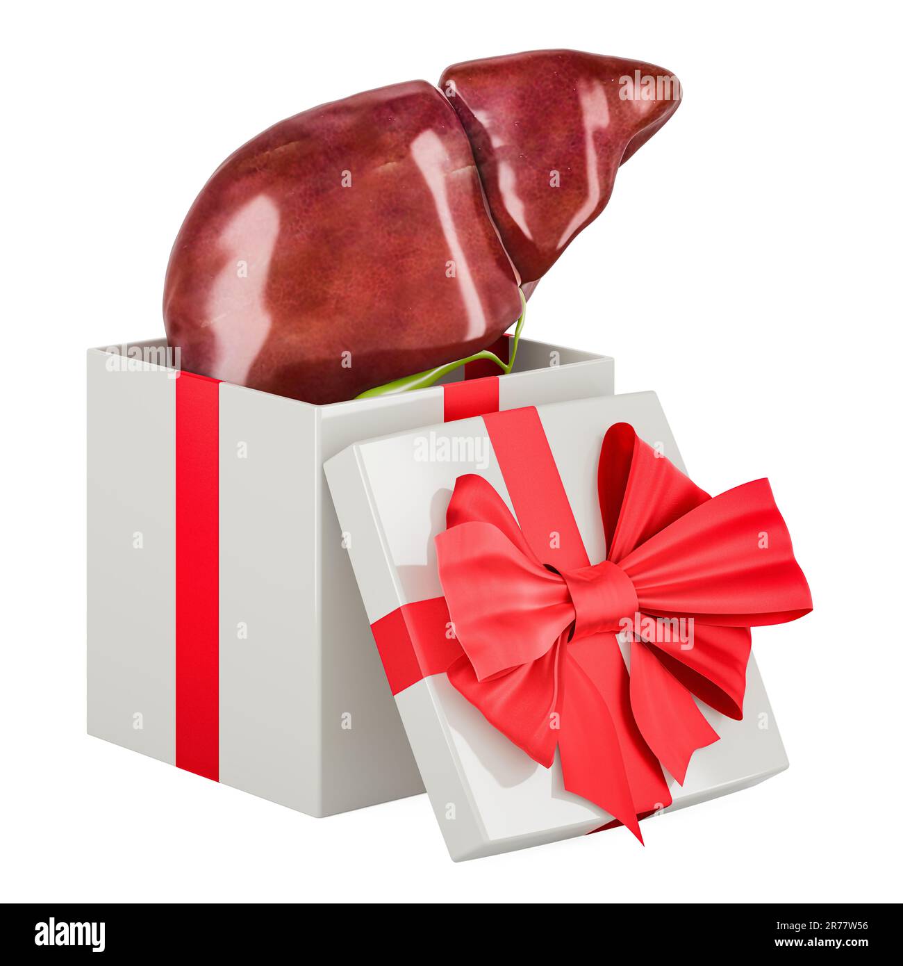 Human liver with gallbladder inside gift box, 3D rendering isolated on ...