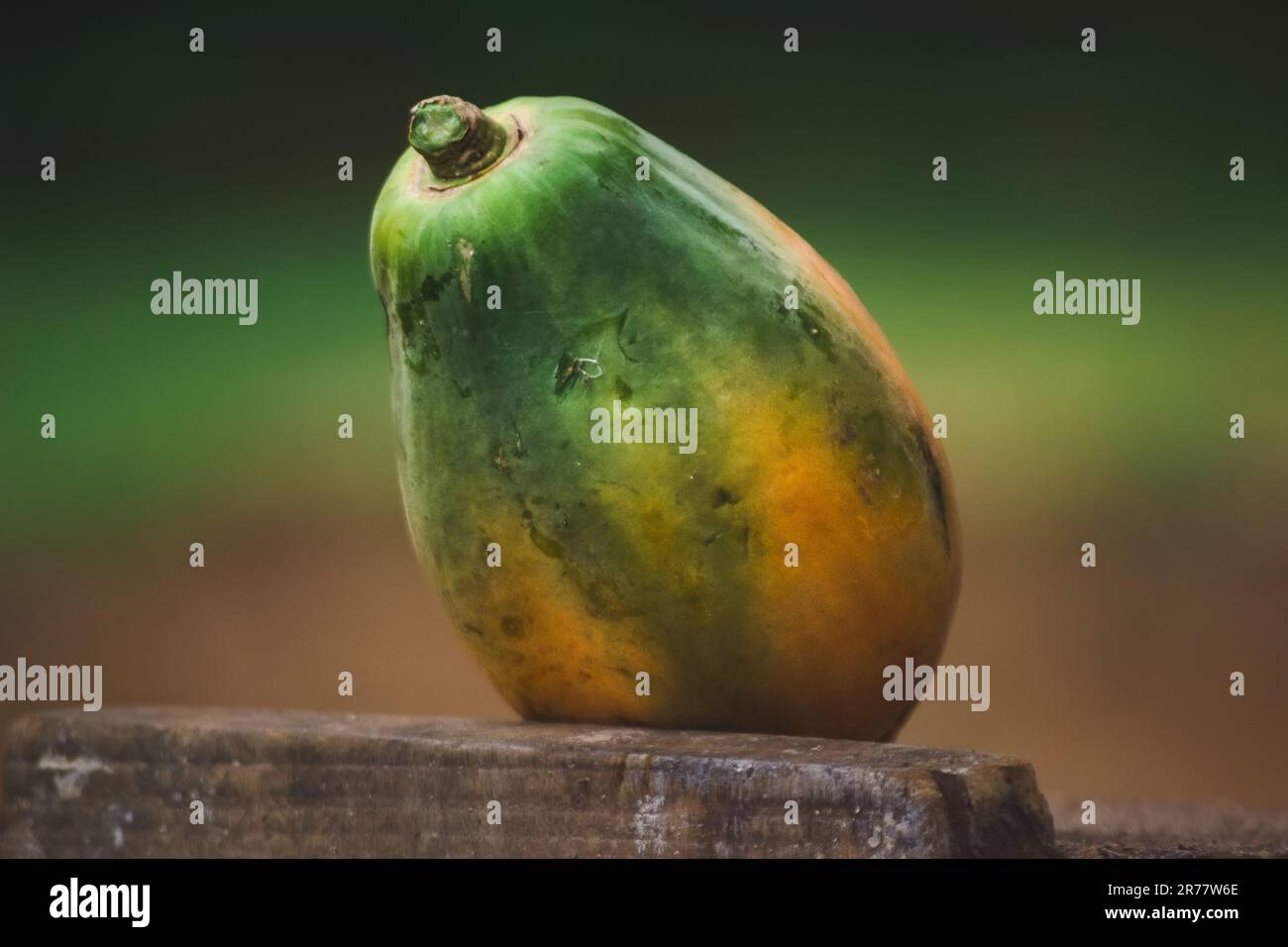 Ripe pawpaw hi-res stock photography and images - Alamy