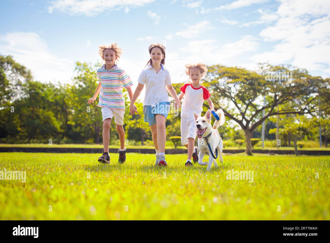 Family with kids running outdoor on sunny summer day. Siblings play in ...