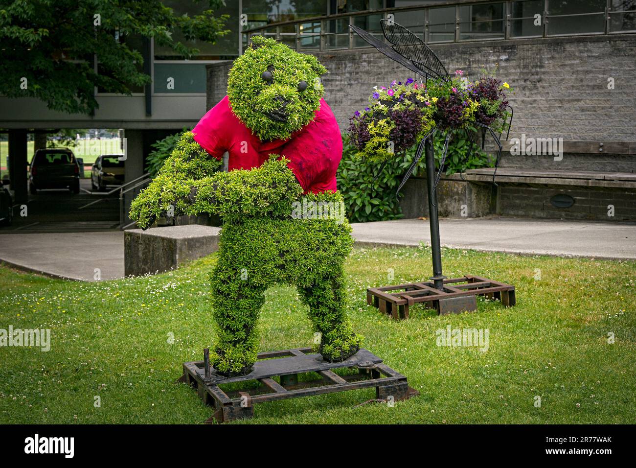 Multi media Bear Eco-Sculptures, McGill Library, Confederation Park ...