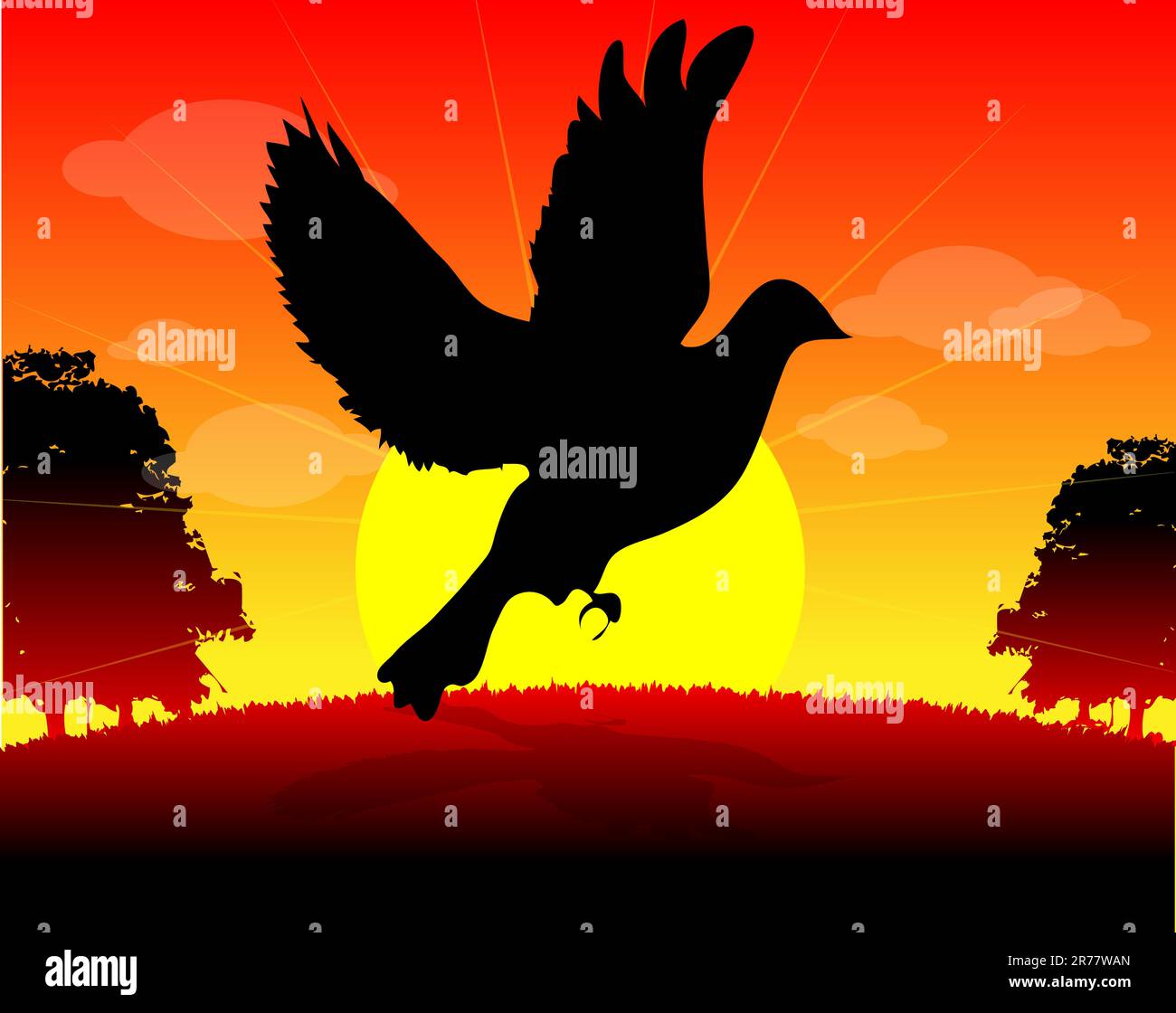Symbol Dove in Flight silhouette, sun, nature, tranquility background ...