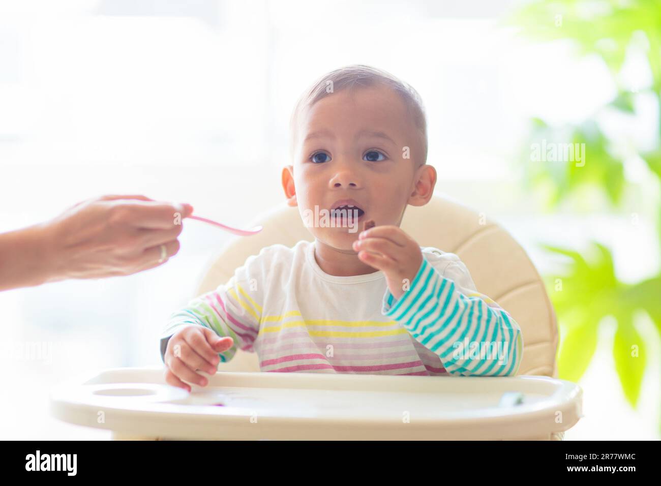Baby eating in high chair. Asian baby boy with drink and lunch. Infant ...