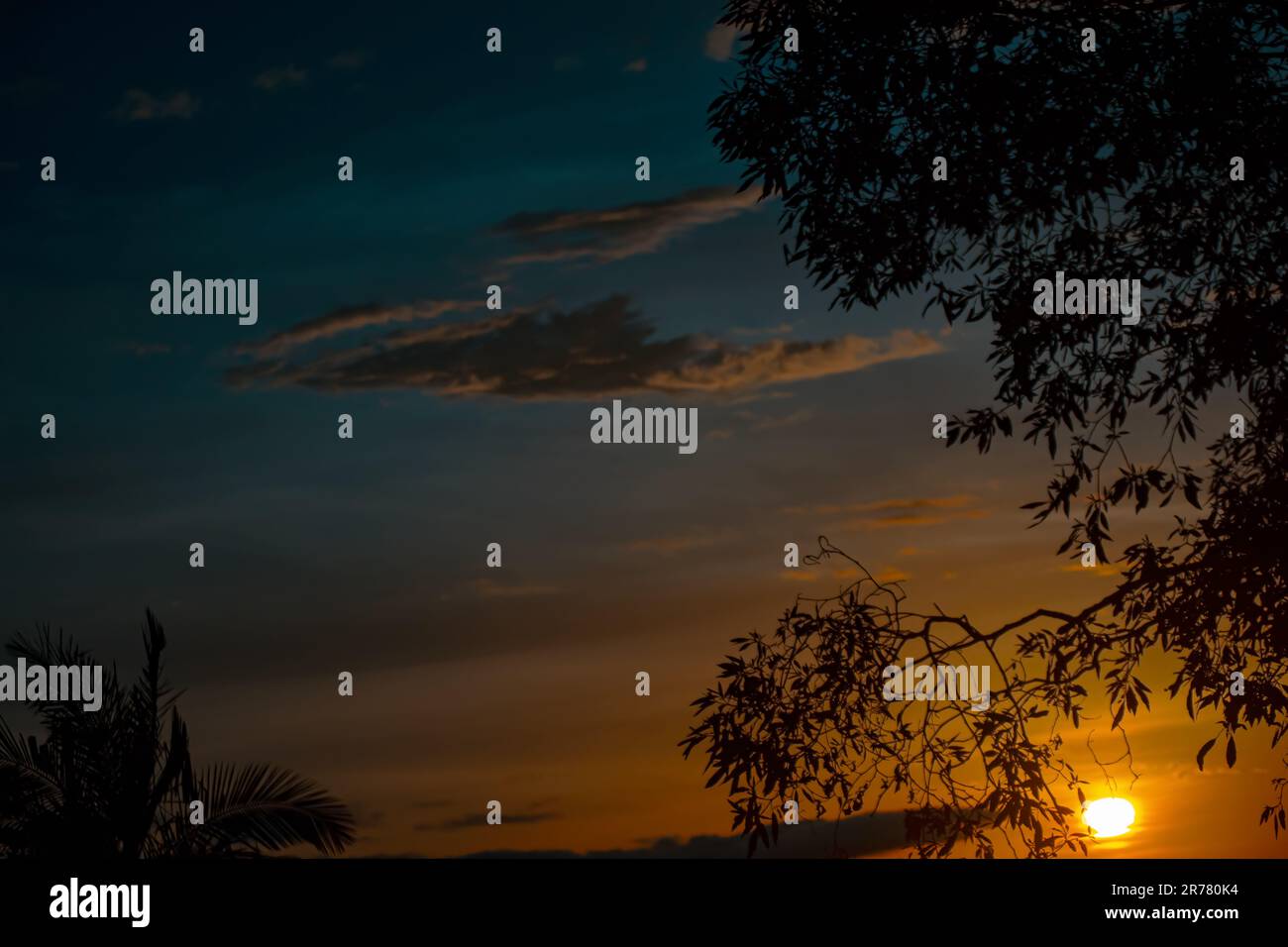 sunset in the forest, magnificent sunset, with blue, orange and red ...