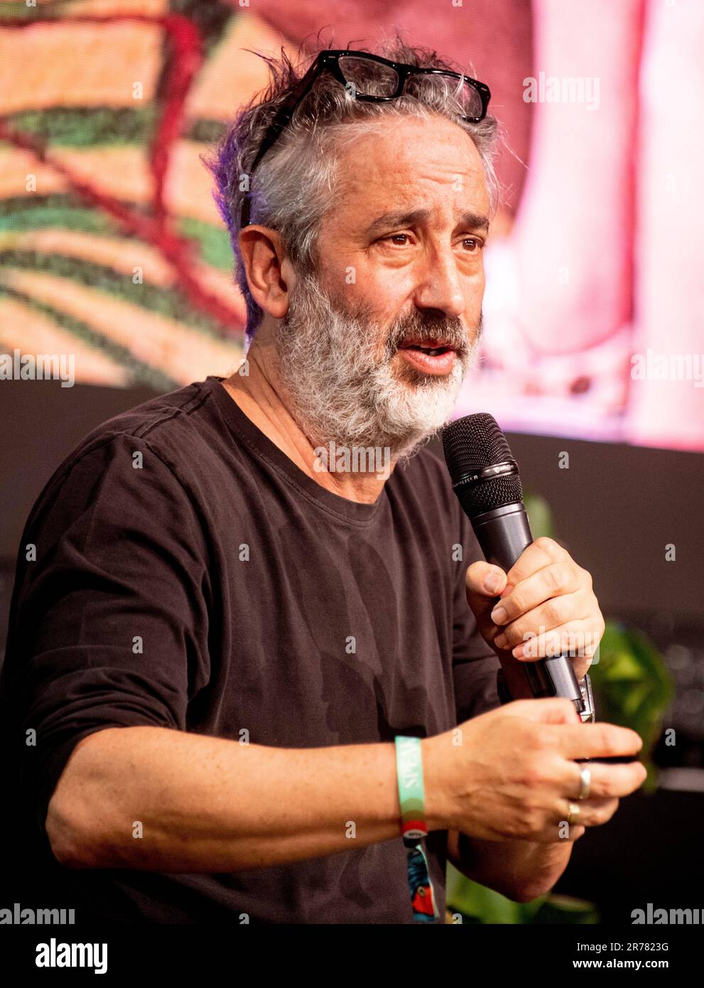 David Baddiel at the Kite Festival 2023 , Kirlington Park oxfordshire ...