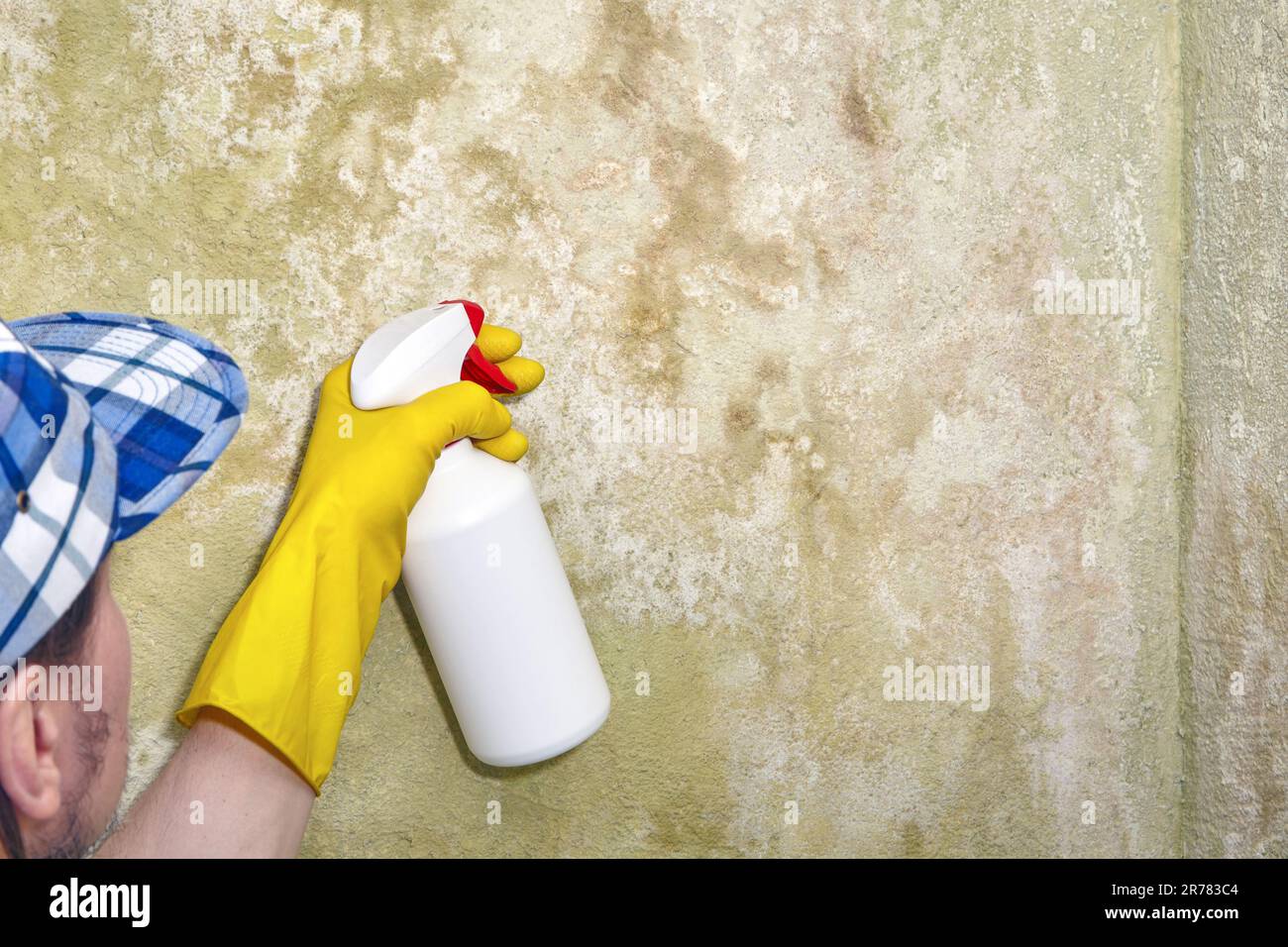 A repairman with a spray gun treats a wall with a chemical antiseptic ...
