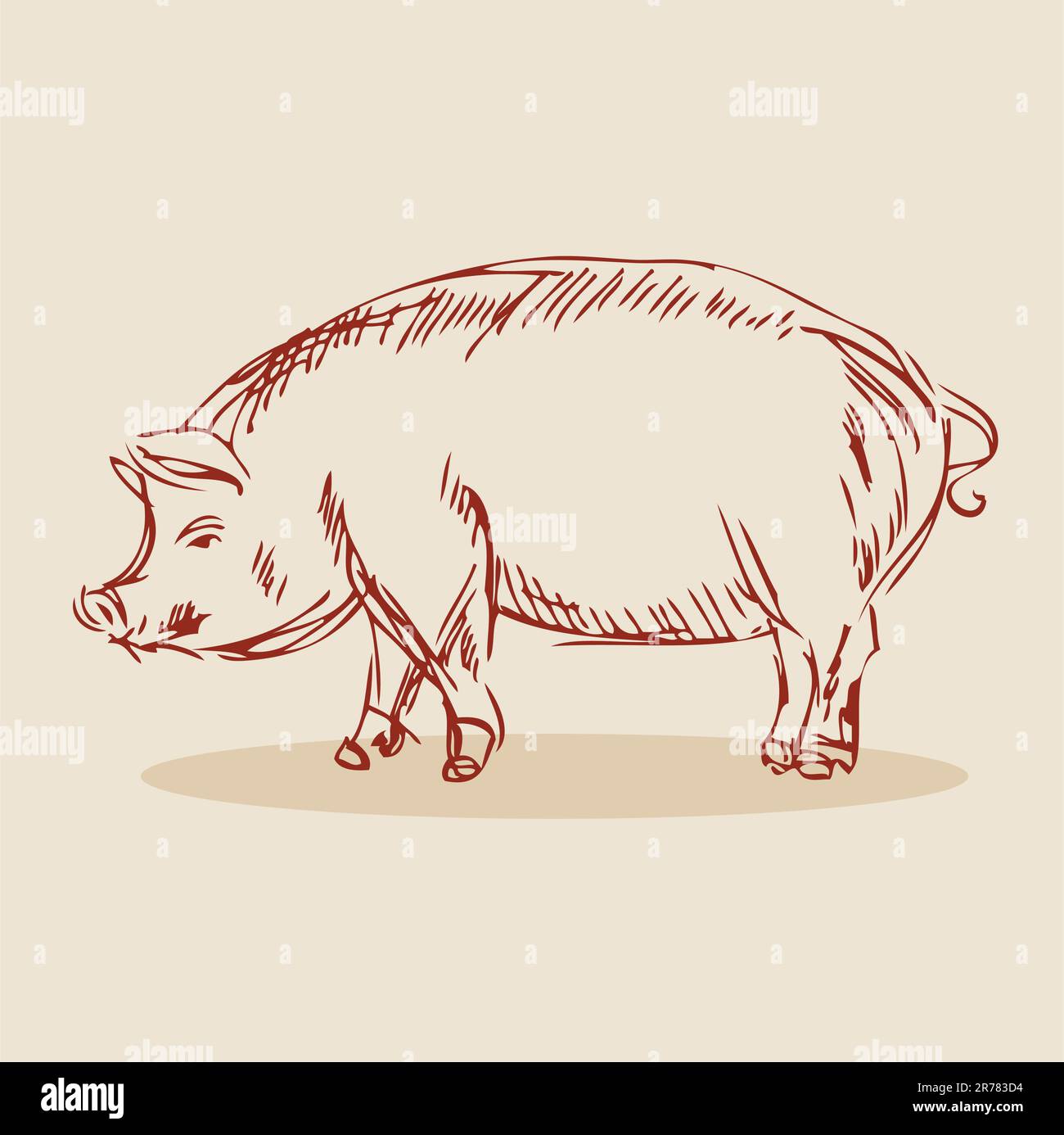 Pig Vector Illustration Stock Vector Image & Art - Alamy