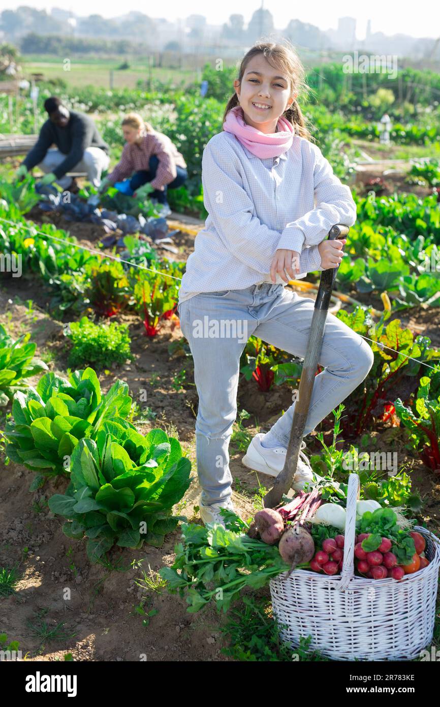 girl with shovel and her parents are working at a farm Stock Photo - Alamy