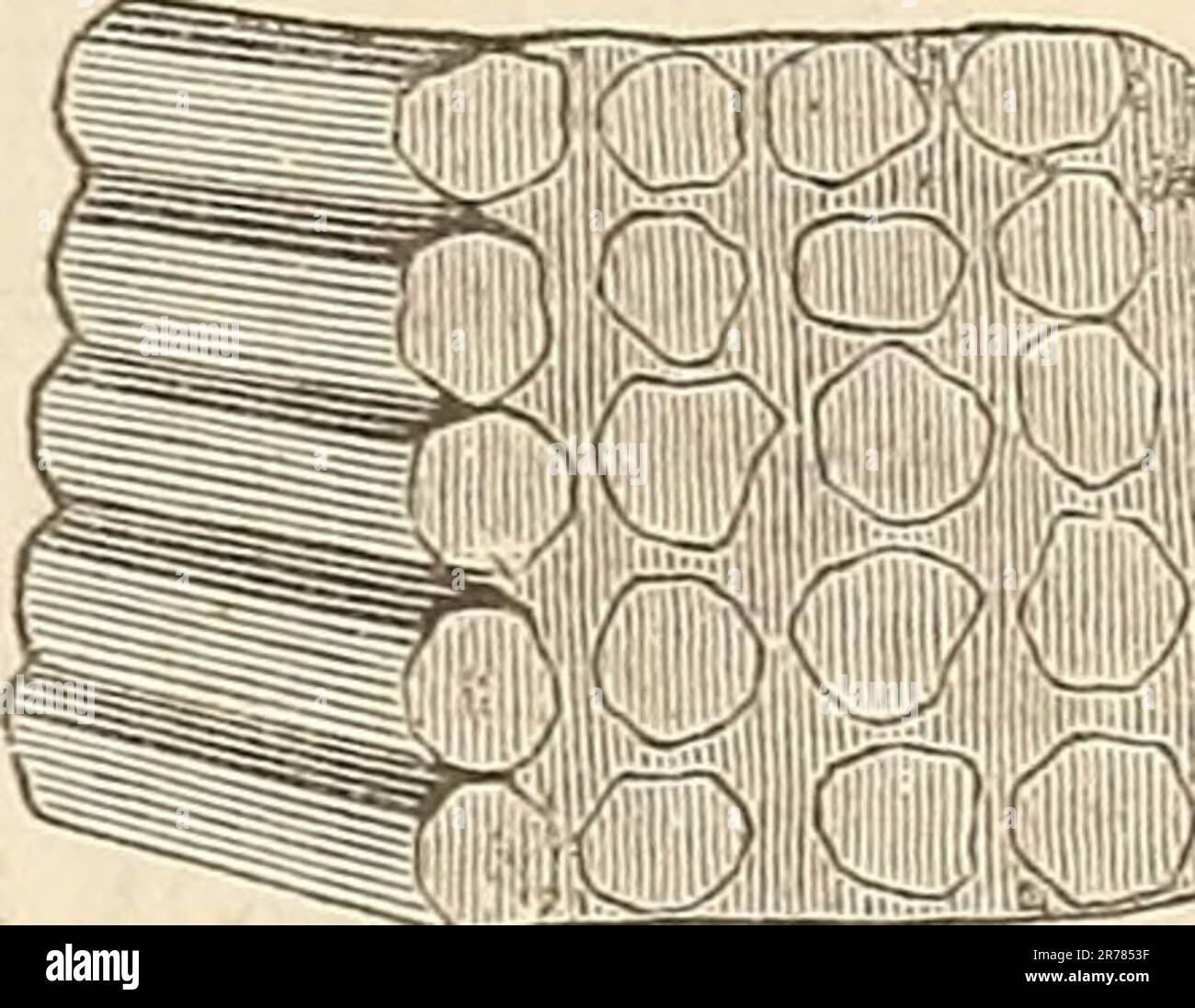 "Elements of geology, or, The ancient changes of the earth and its ...