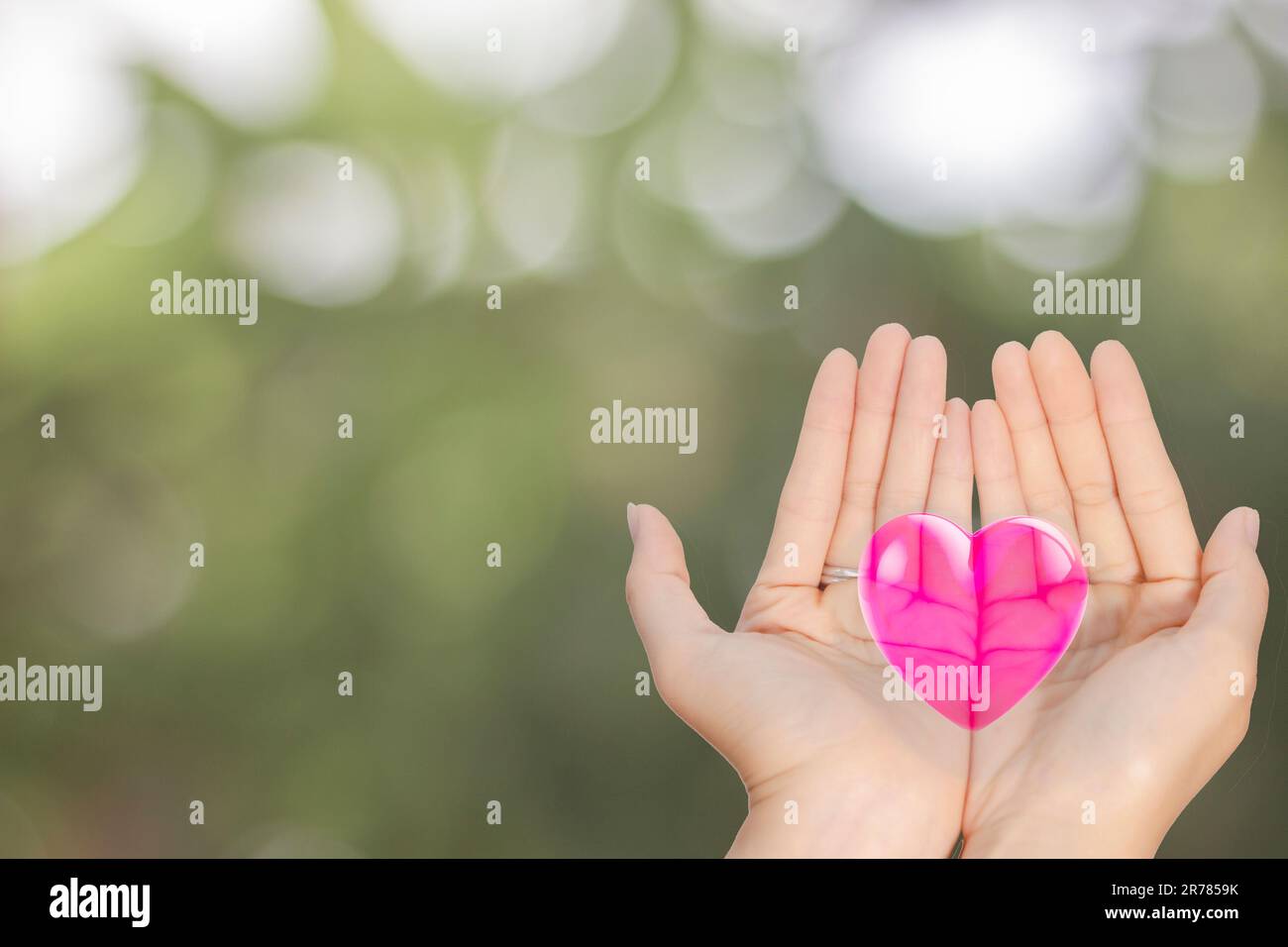 two empty female beautiful hands open with palms up closeup of top view ...