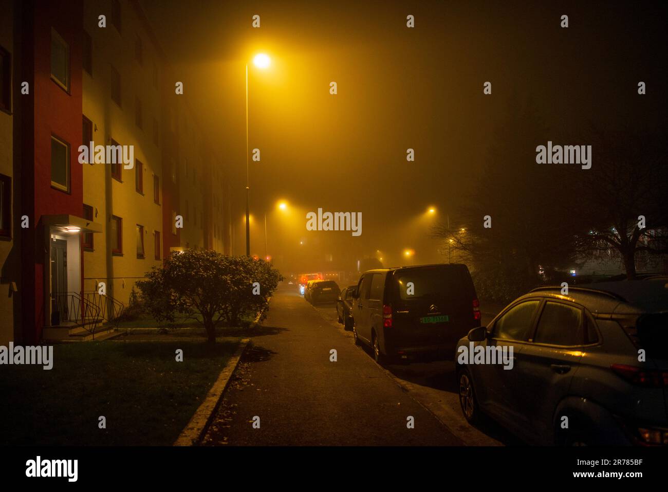 Foggy street at night illuminated by streetlight Stock Photo - Alamy