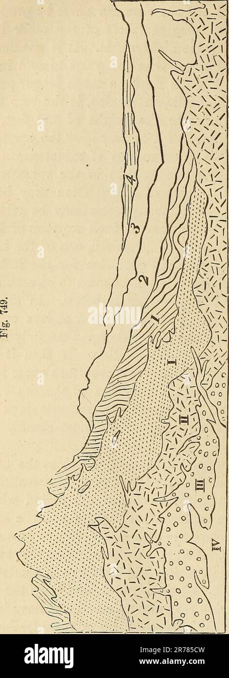 "Elements of geology, or, The ancient changes of the earth and its ...