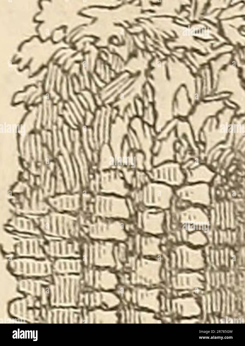 "Elements of geology, or, The ancient changes of the earth and its ...