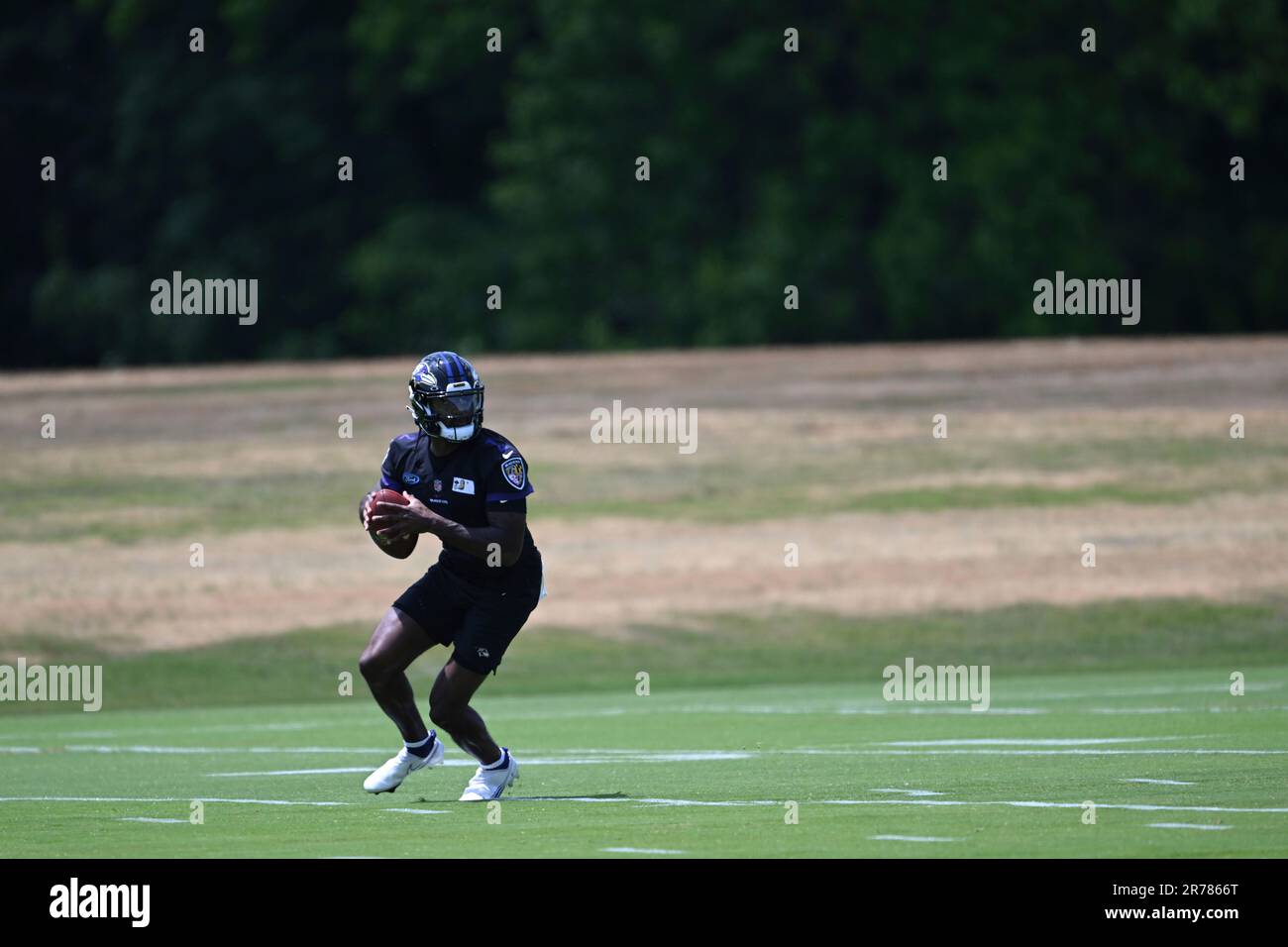 Baltimore Ravens quarterback Tyler Huntley works out during mandatory ...