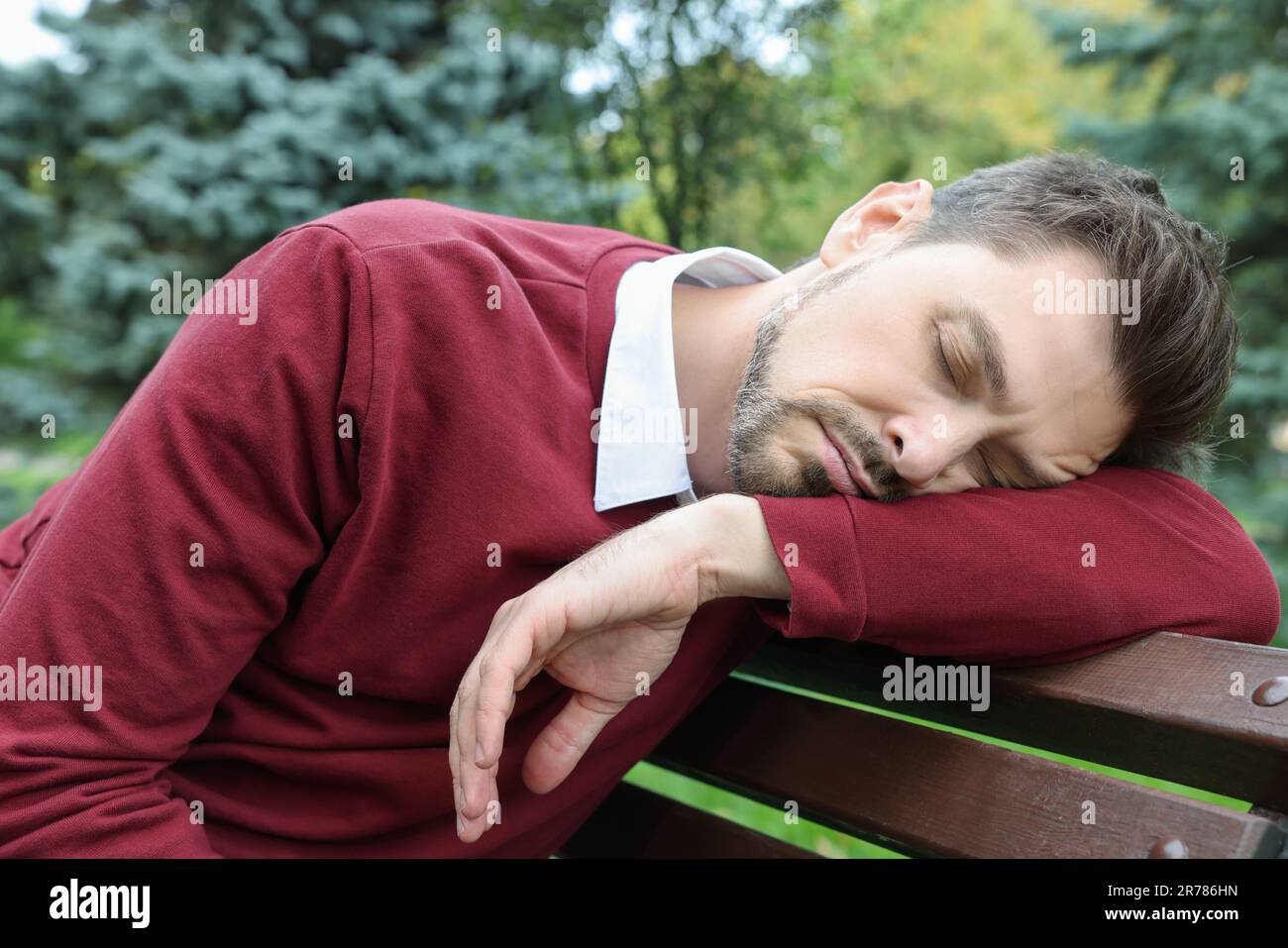 Tired man sleeping on bench in beautiful green park Stock Photo - Alamy
