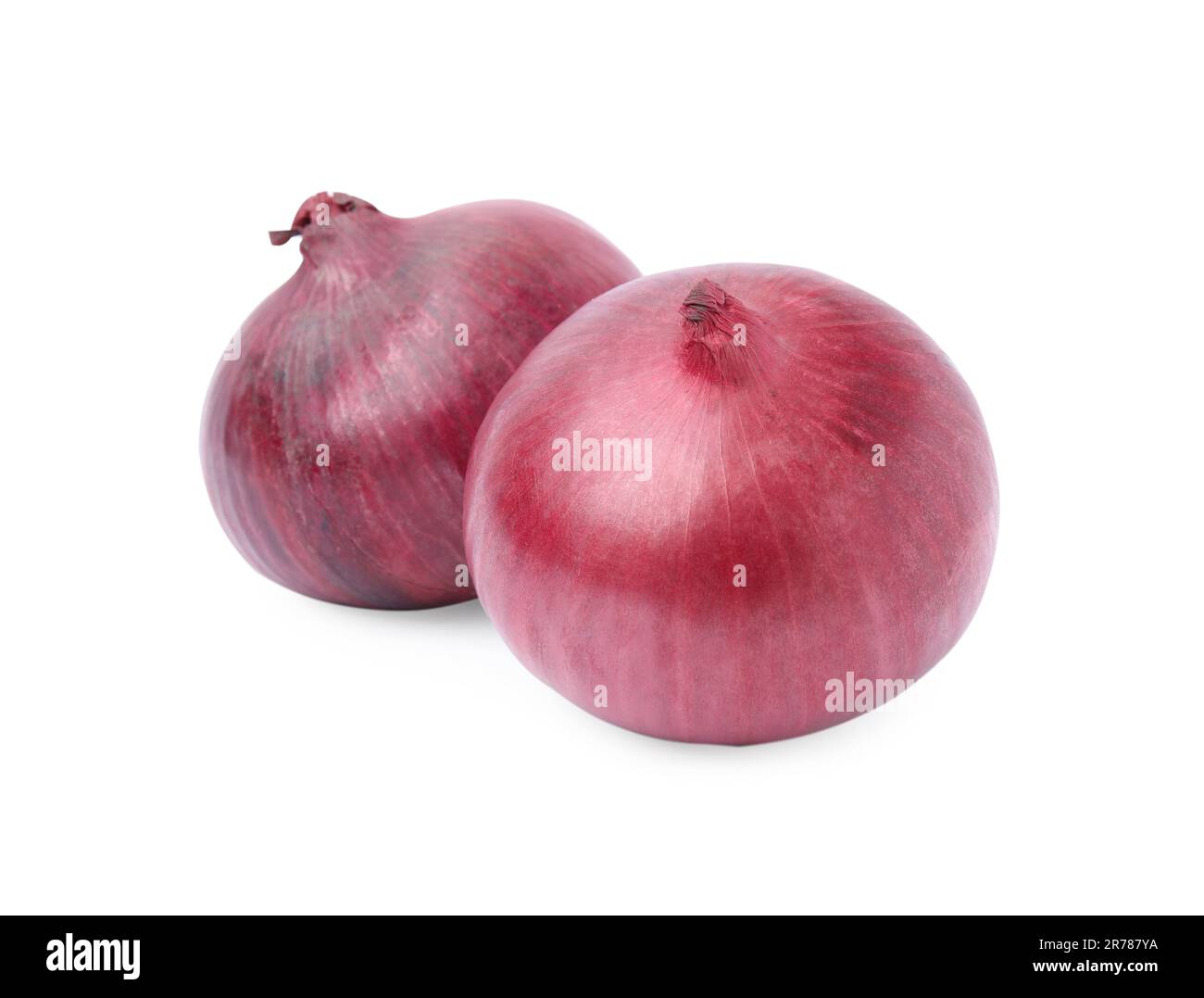 Two fresh red onions on white background Stock Photo - Alamy