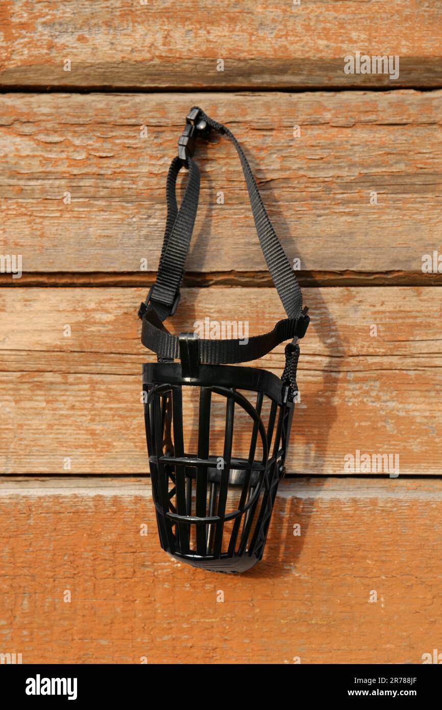 Black dog muzzle hanging near wooden fence Stock Photo - Alamy