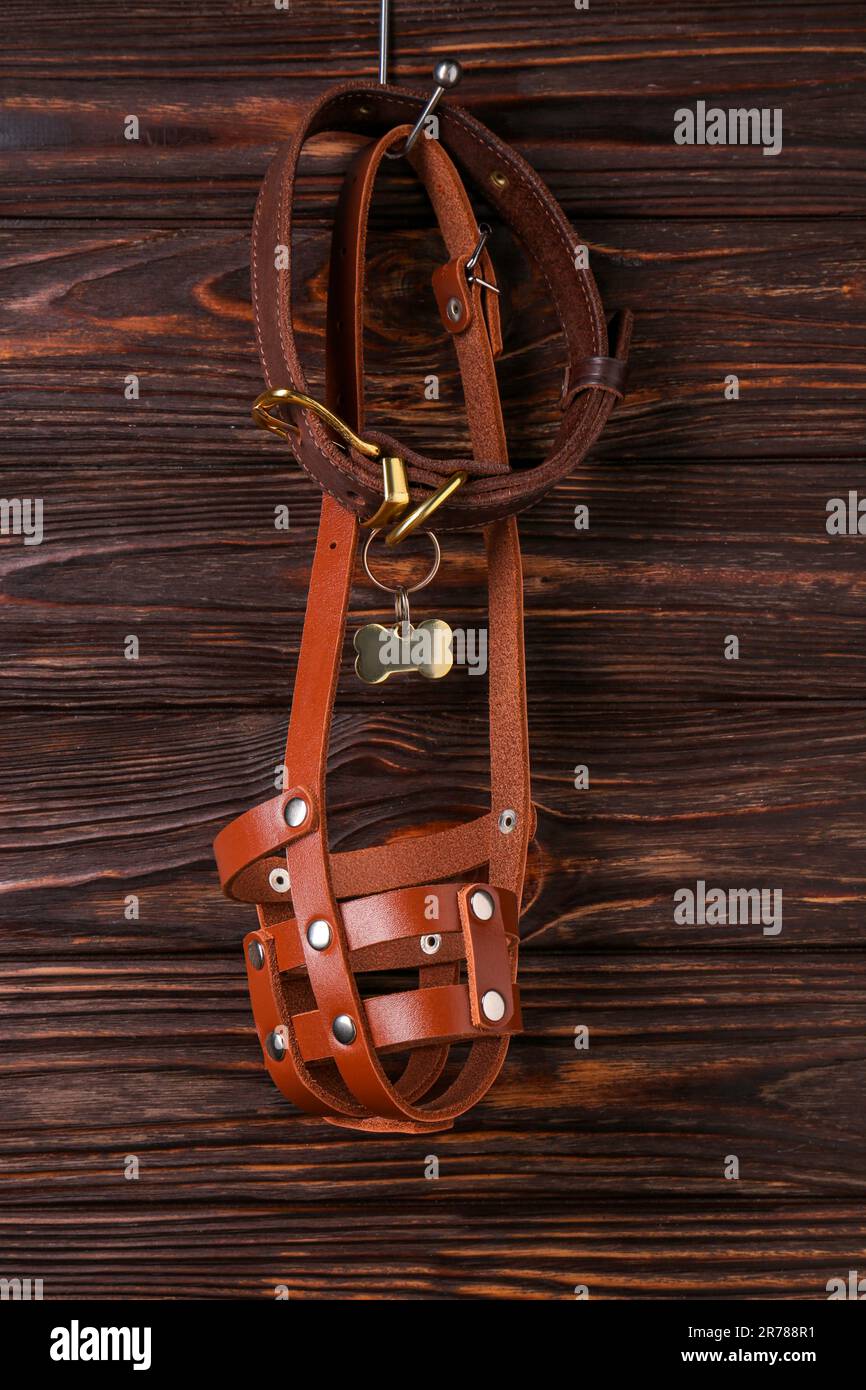 Muzzle collar hi-res stock photography and images - Alamy