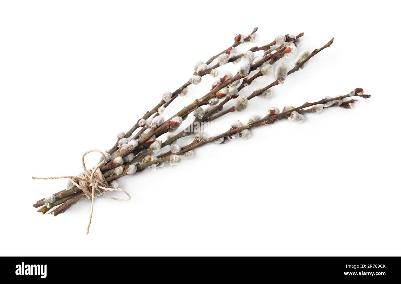 Willow bouquet Cut Out Stock Images & Pictures - Alamy