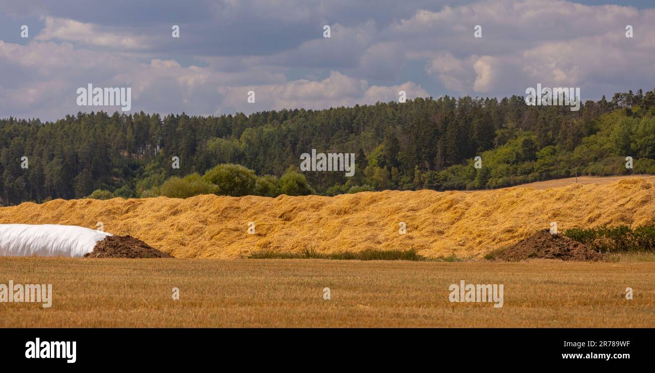 CZECH REPUBLIC, EUROPE - Pile of hay on farm, rural landscape, north of ...