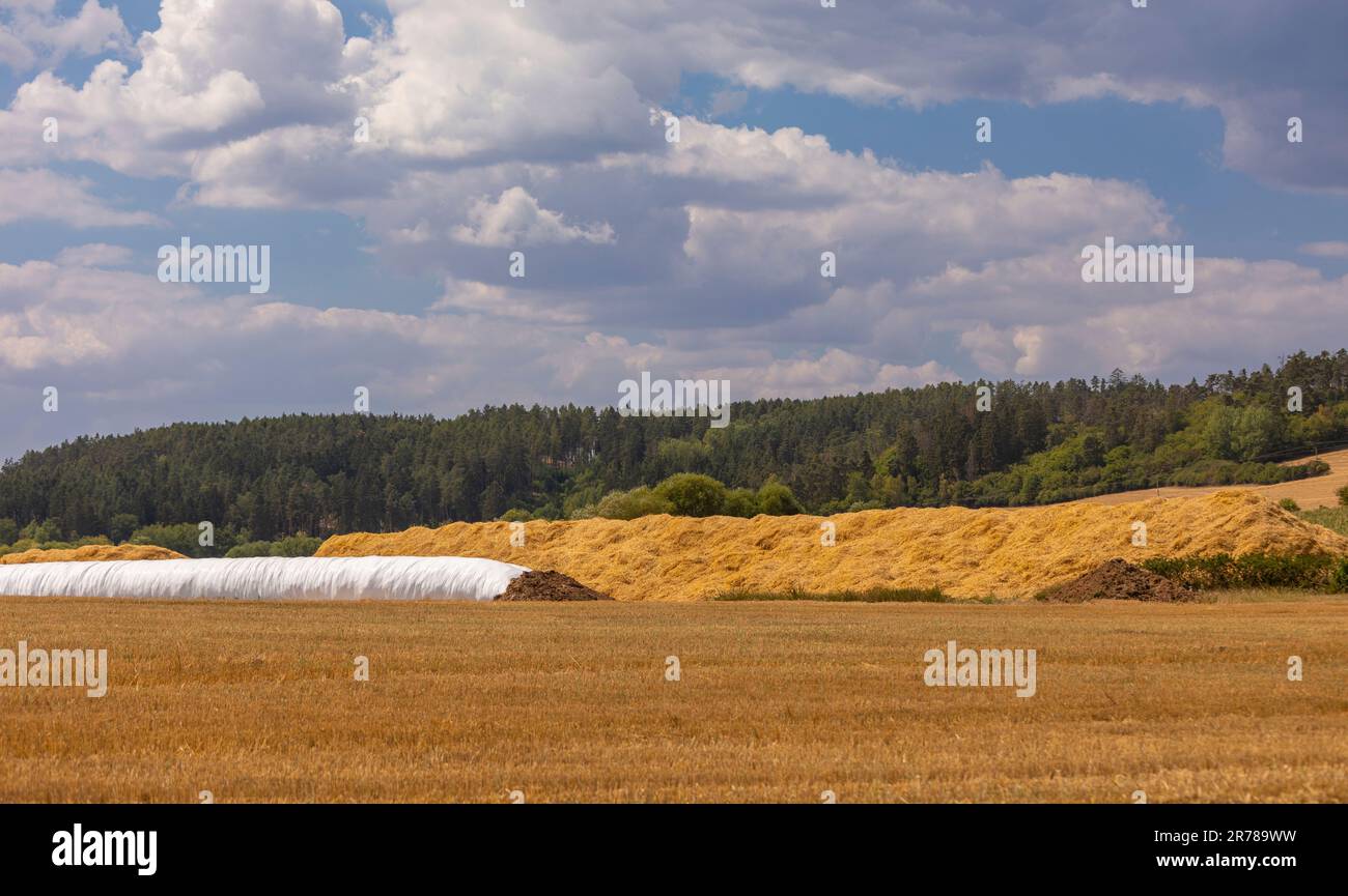 Pile of hay hi-res stock photography and images - Alamy