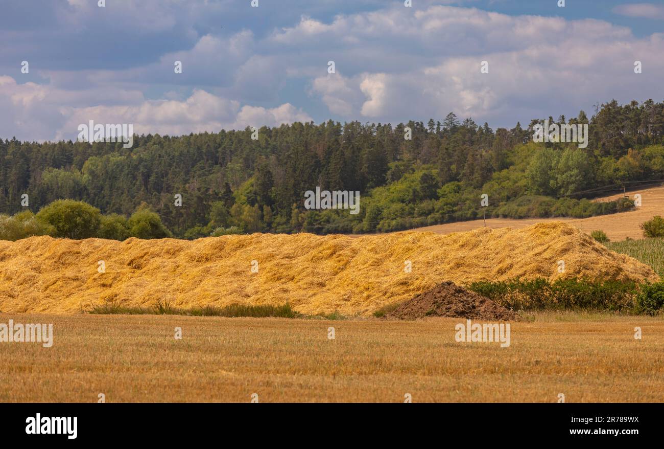 CZECH REPUBLIC, EUROPE - Pile of hay on farm, rural landscape, north of ...