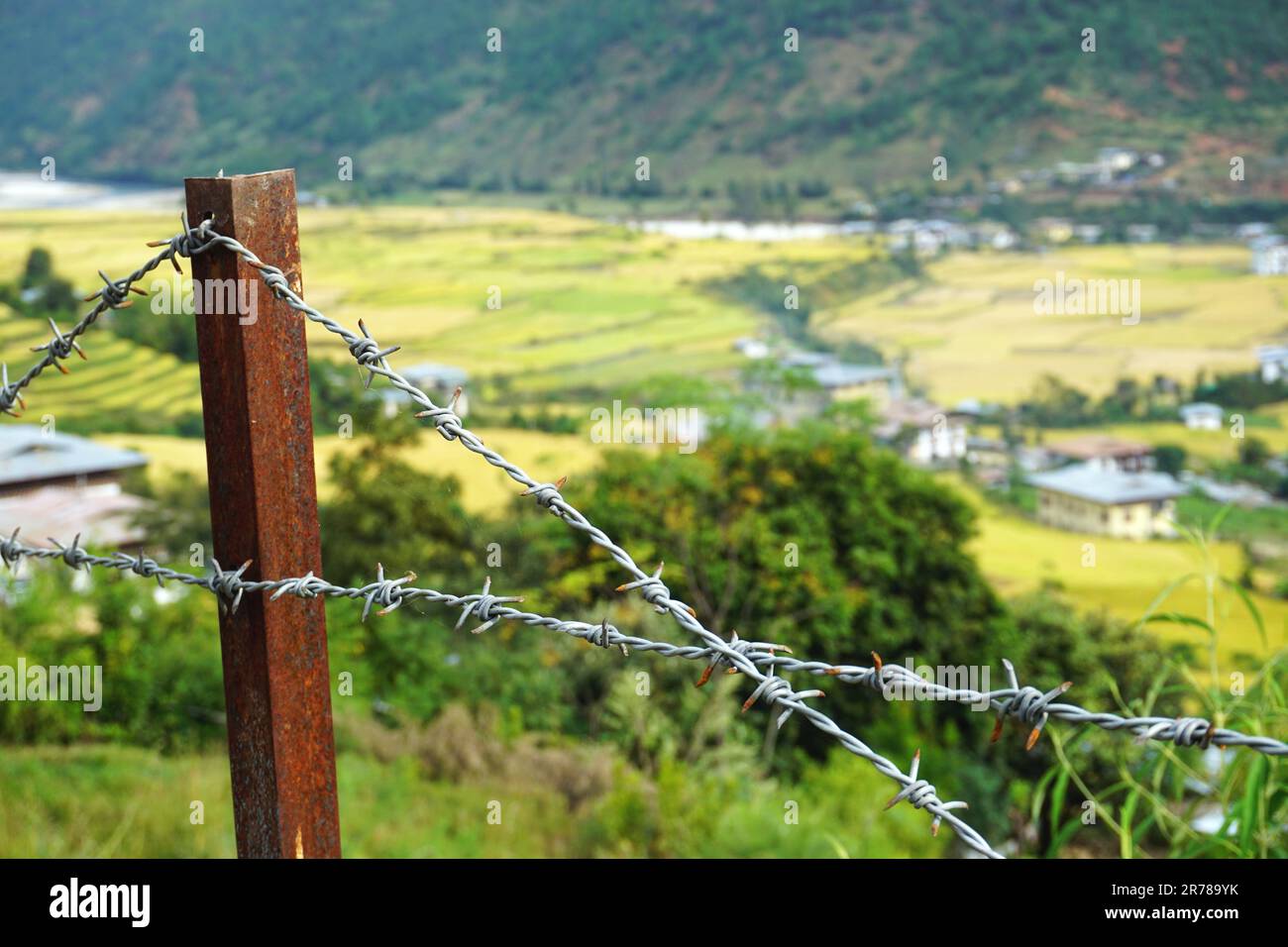 Closeup of barbed wire fence on rusty metal fence post with blurred ...