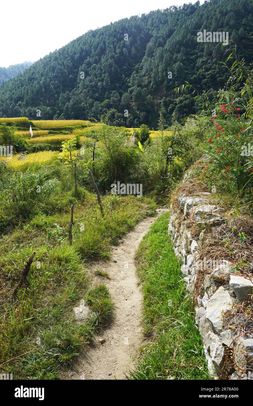 Secluded dirt hiking trail with rustic stone fence on one side ...